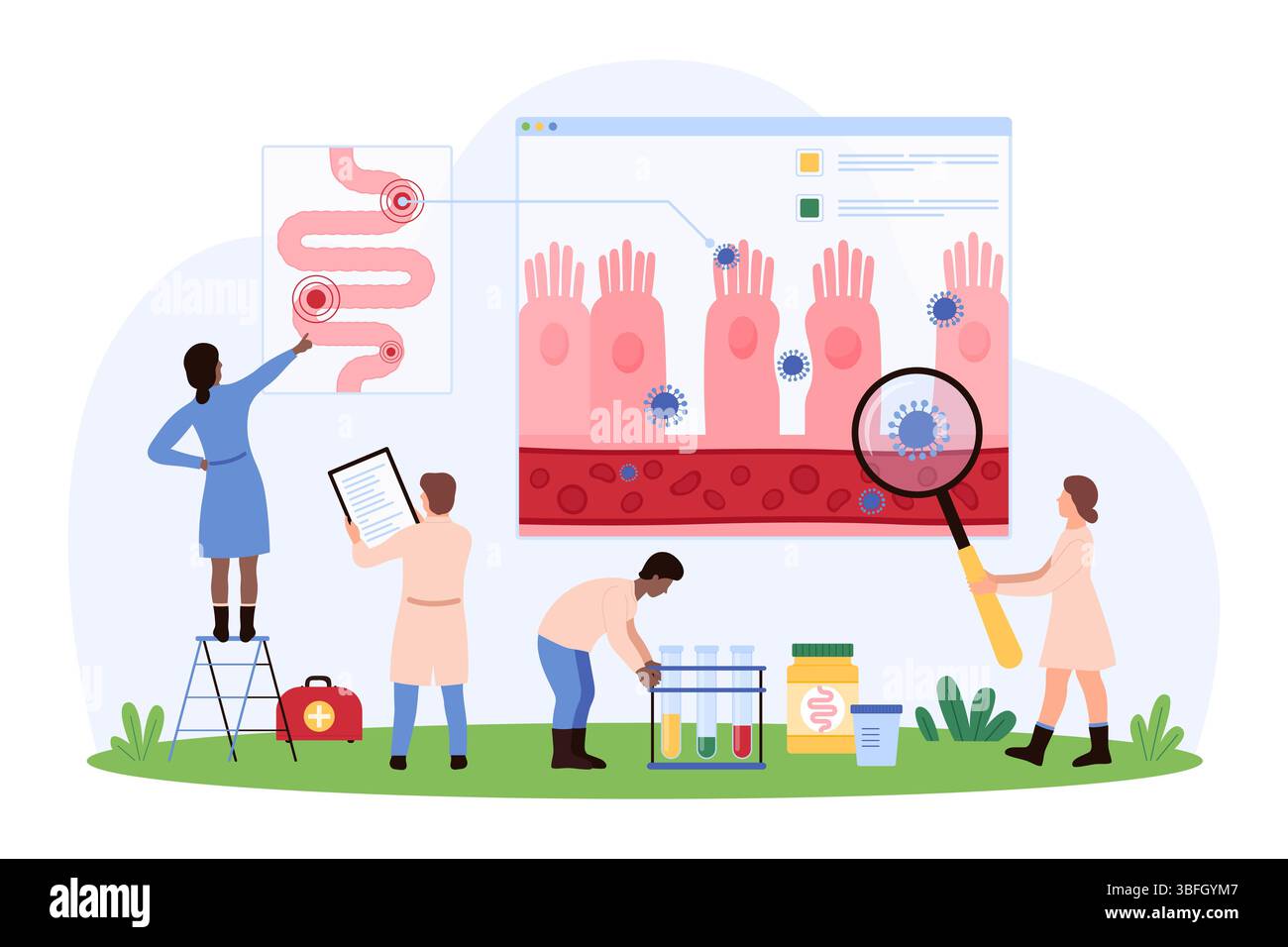 Gastrointestinal barrier hi-res stock photography and images - Alamy