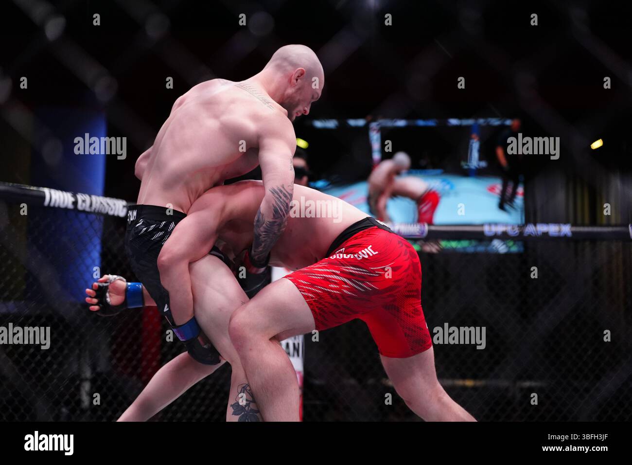 LAS VEGAS, NV - MAY 31: Zachary Reese and Dusko Todorovic meet in the ...