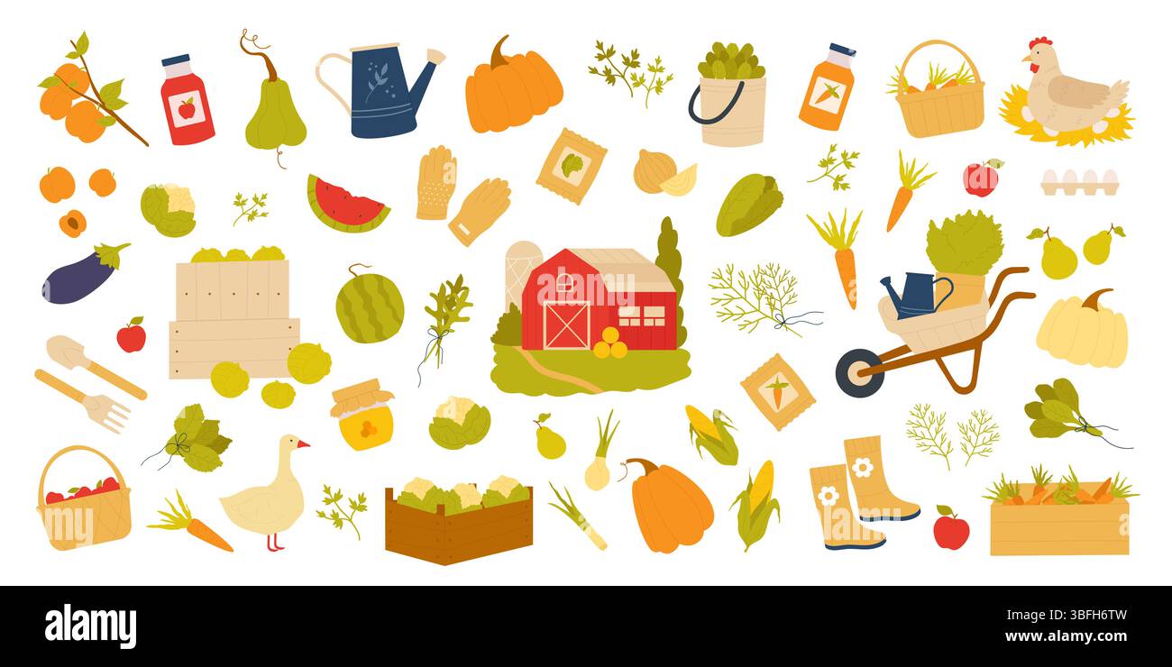Farmer's market produce eggs isolated Stock Vector Images - Alamy