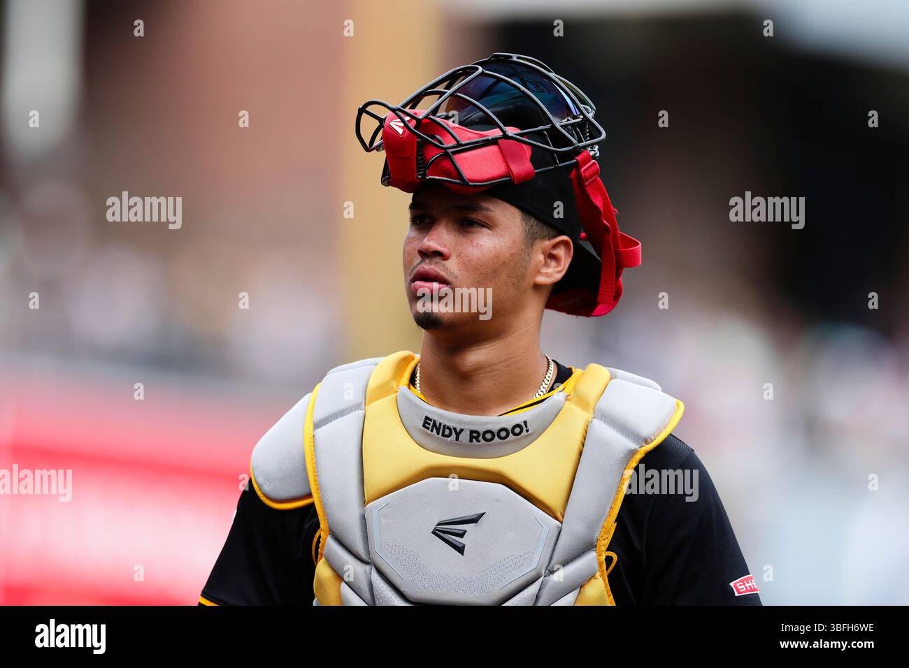 Pittsburgh Pirates catcher Endy Rodriguez walks to the dugout prior to ...