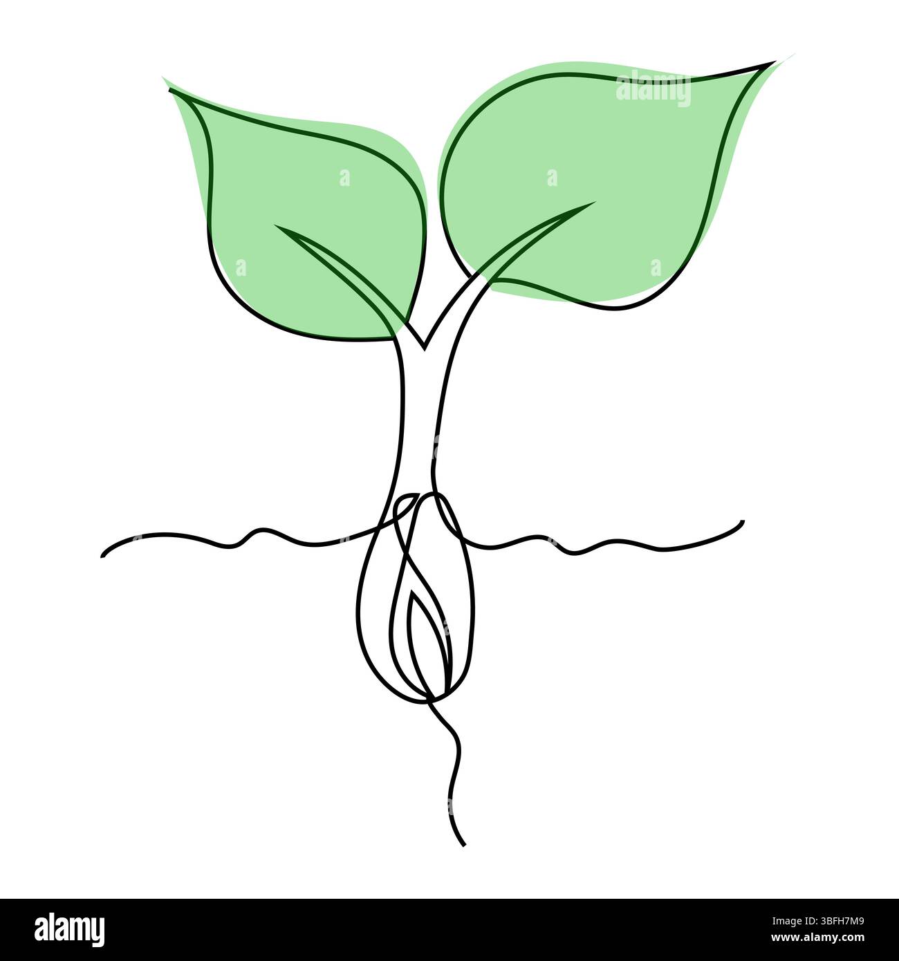 Sprout with roots illustration. Green leaves vector. Simple plant ...