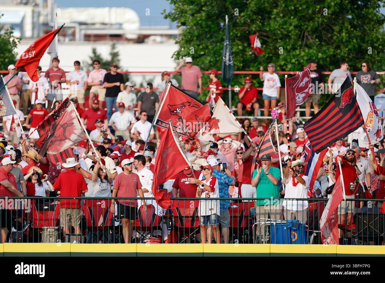 FAYETTEVILLE, AR - MAY 31: Arkansas Razorbacks fans wave flags after a ...