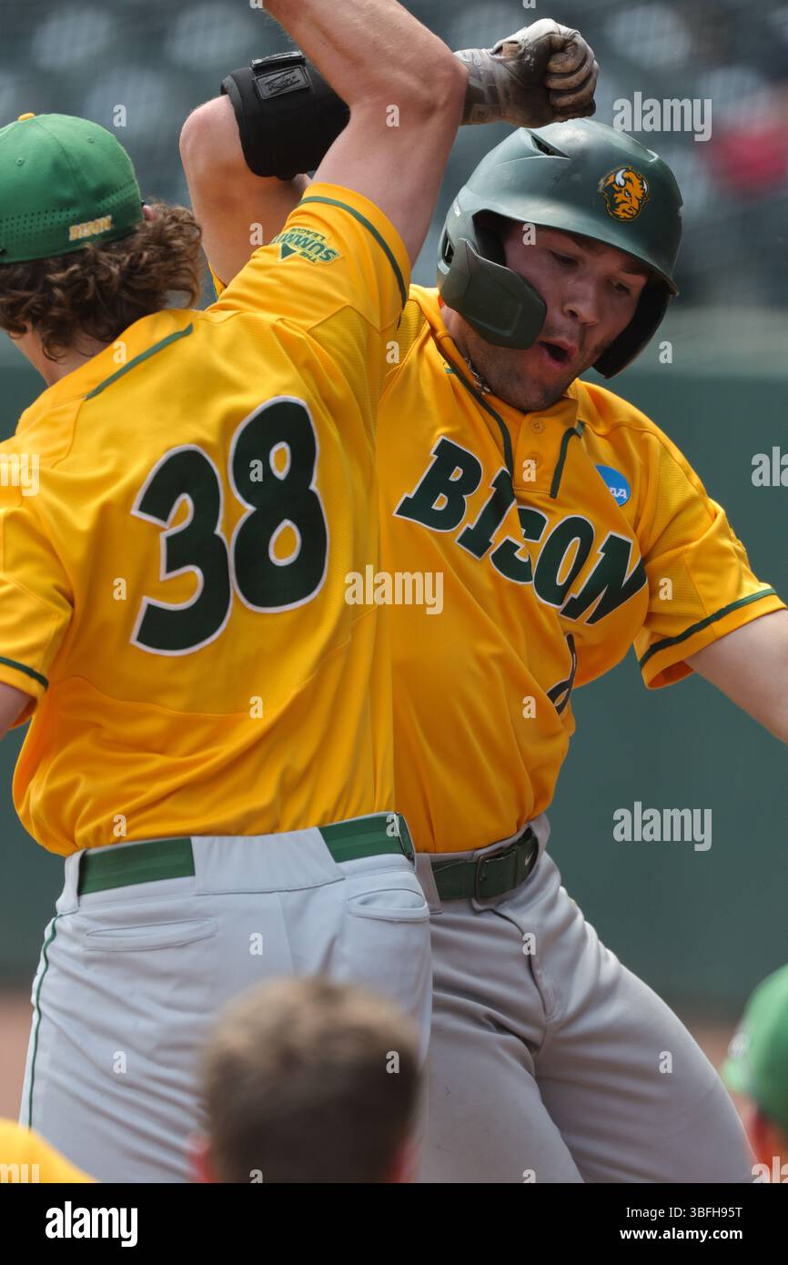 June 1, 2025: Bison outfielder Sam Canton (8) celebrates with team mate ...