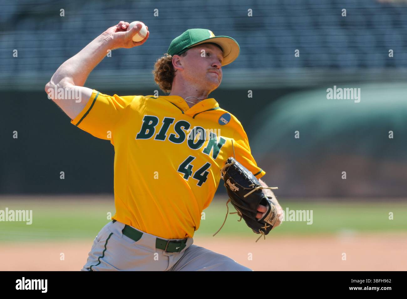 June 1, 2025: North Dakota State pitcher Skyler Riedinger (44) in ...