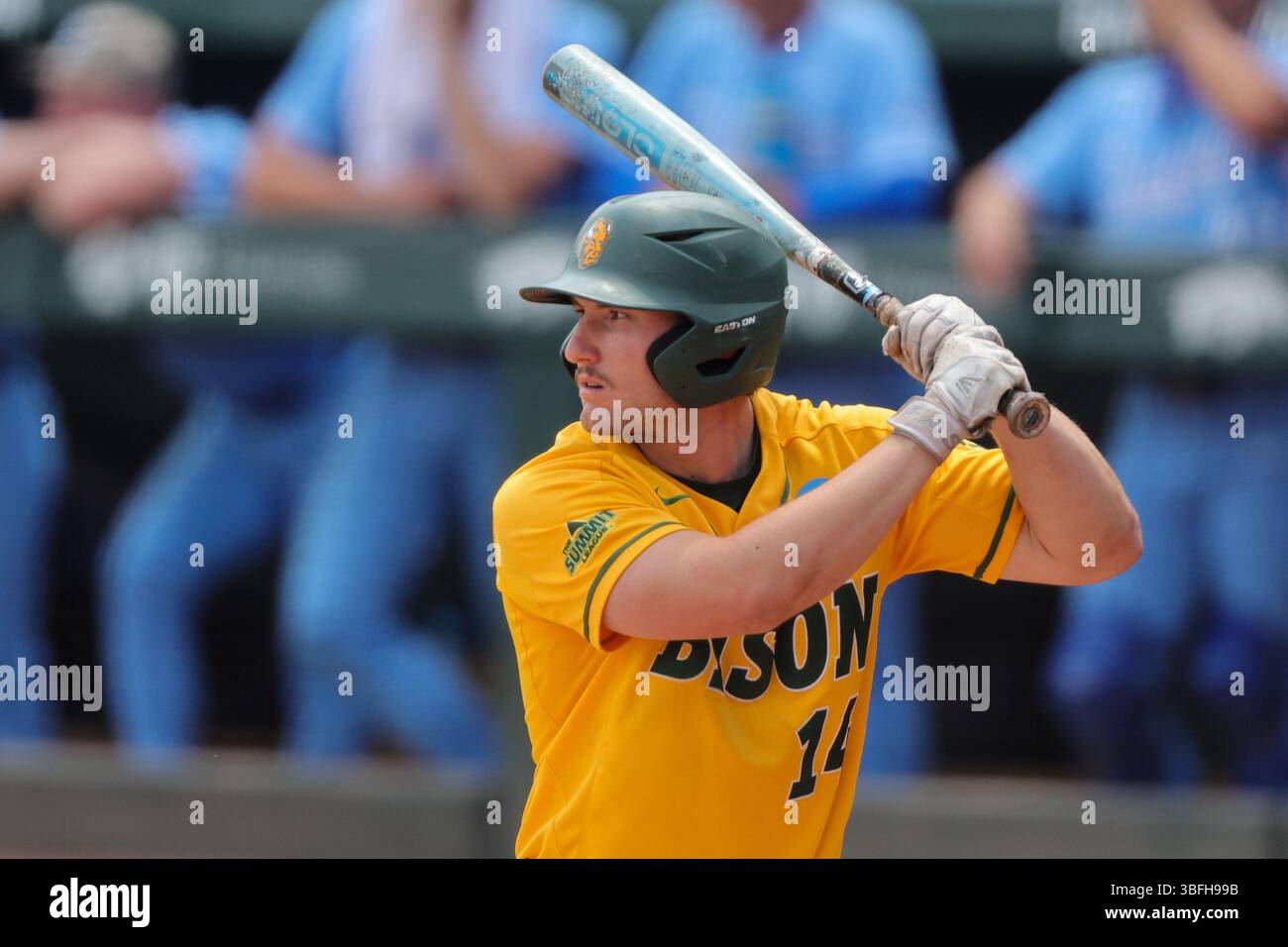 June 1, 2025: North Dakota State outfielder Colten Becker (14) readies ...