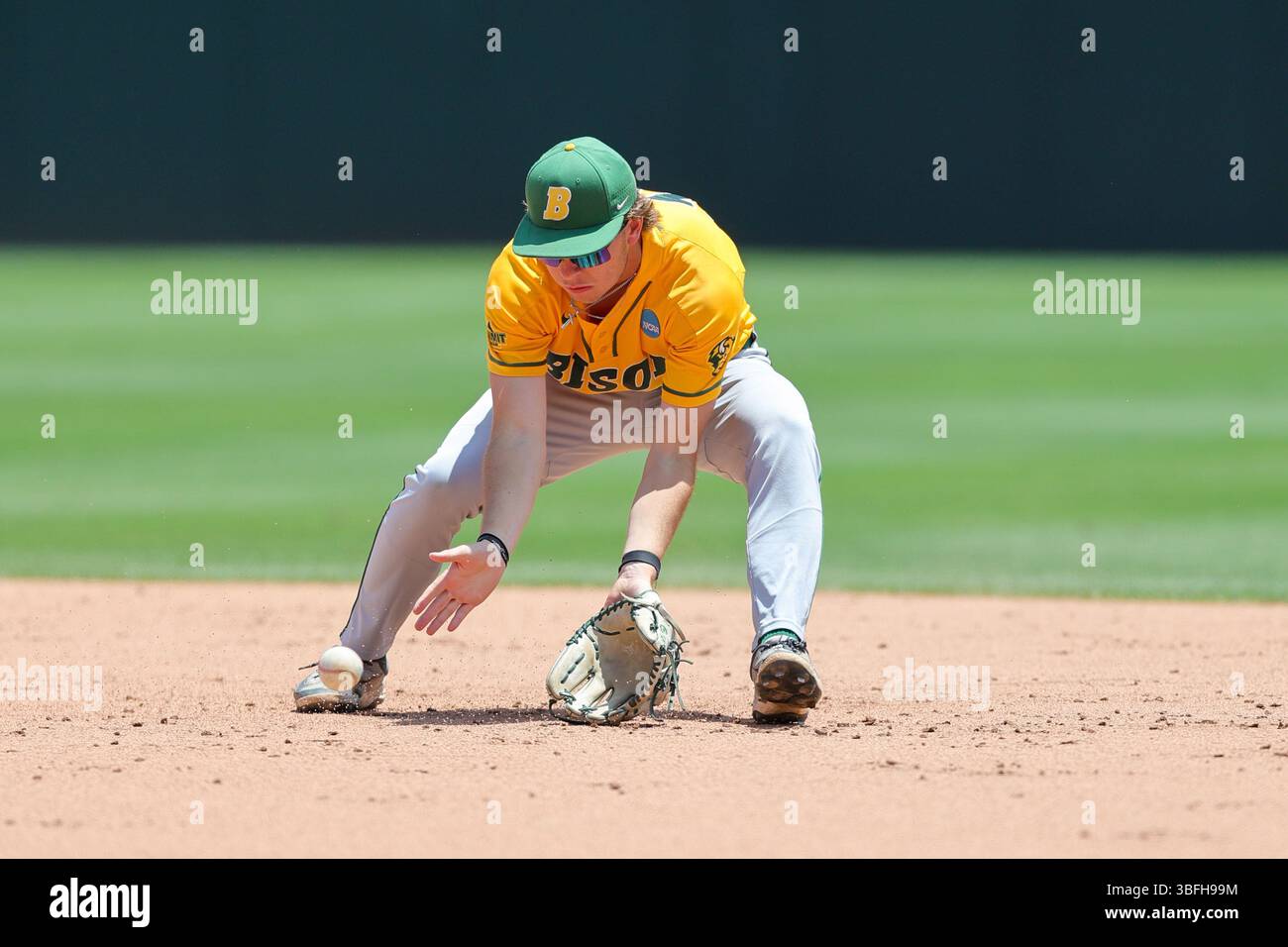 June 1, 2025: Bison infielder Tommy Simon (19) leans over to field a ...