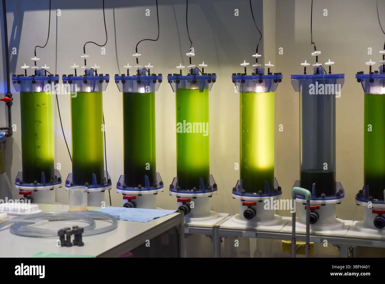 Bioreactors green algae hi-res stock photography and images - Alamy