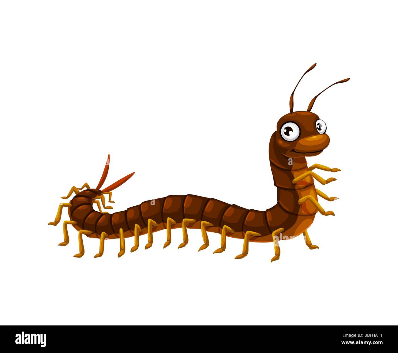 Long legged centipede Stock Vector Images - Alamy