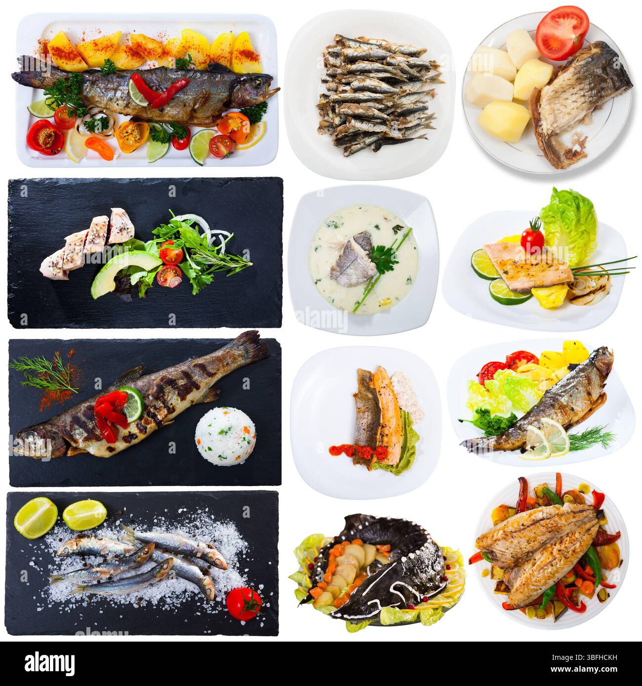 Different dishes with fish served at plates isolated on white ...
