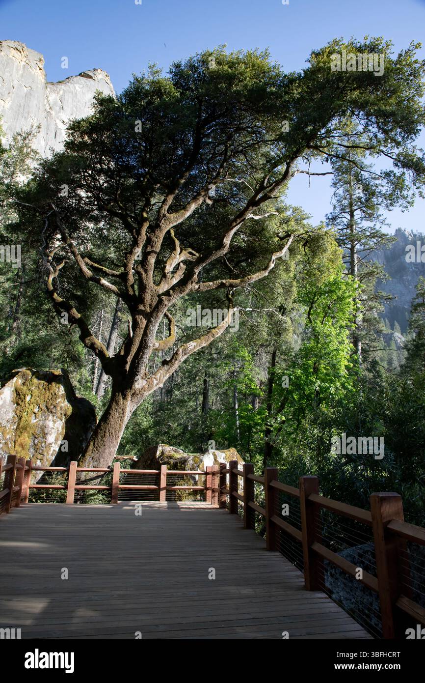 Bridalveil falls iconic waterfall hi-res stock photography and images ...