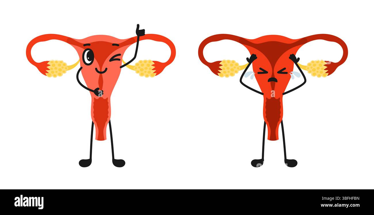 Female reproductive system cartoon hi-res stock photography and images ...