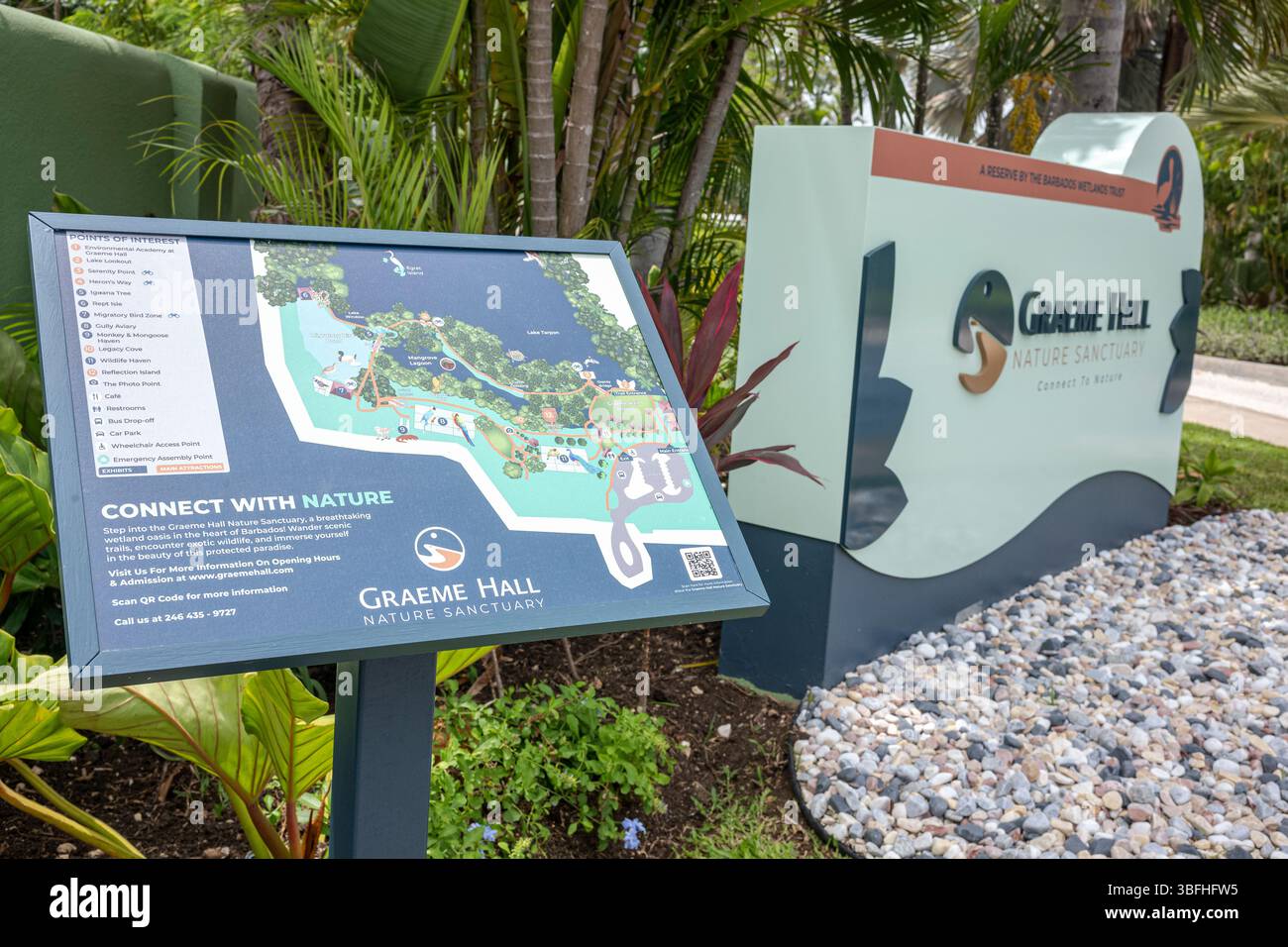 Barbados's reopened Graeme Hall Nature Sanctuary photographed on the ...