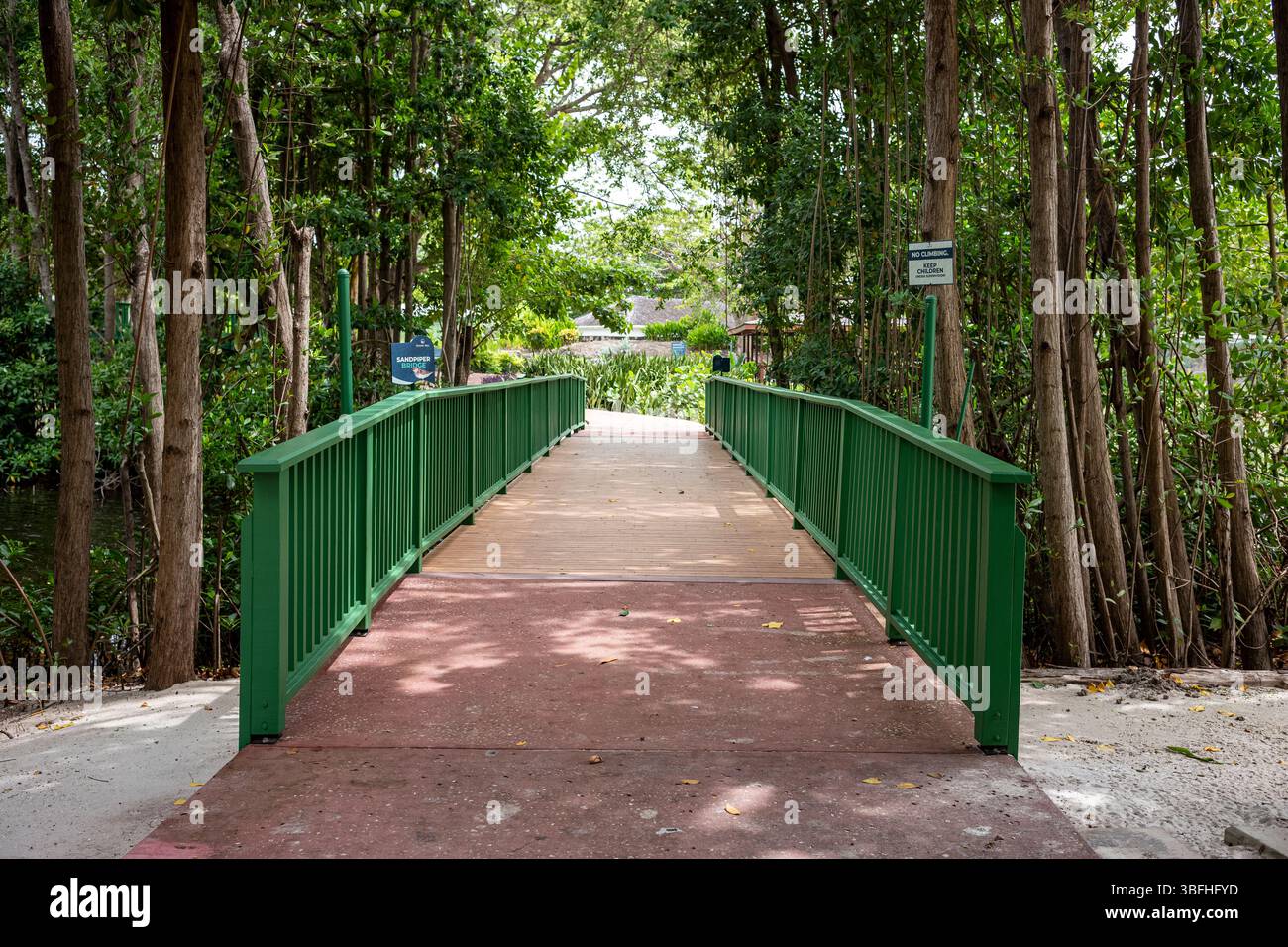 Barbados's reopened Graeme Hall Nature Sanctuary photographed on the ...