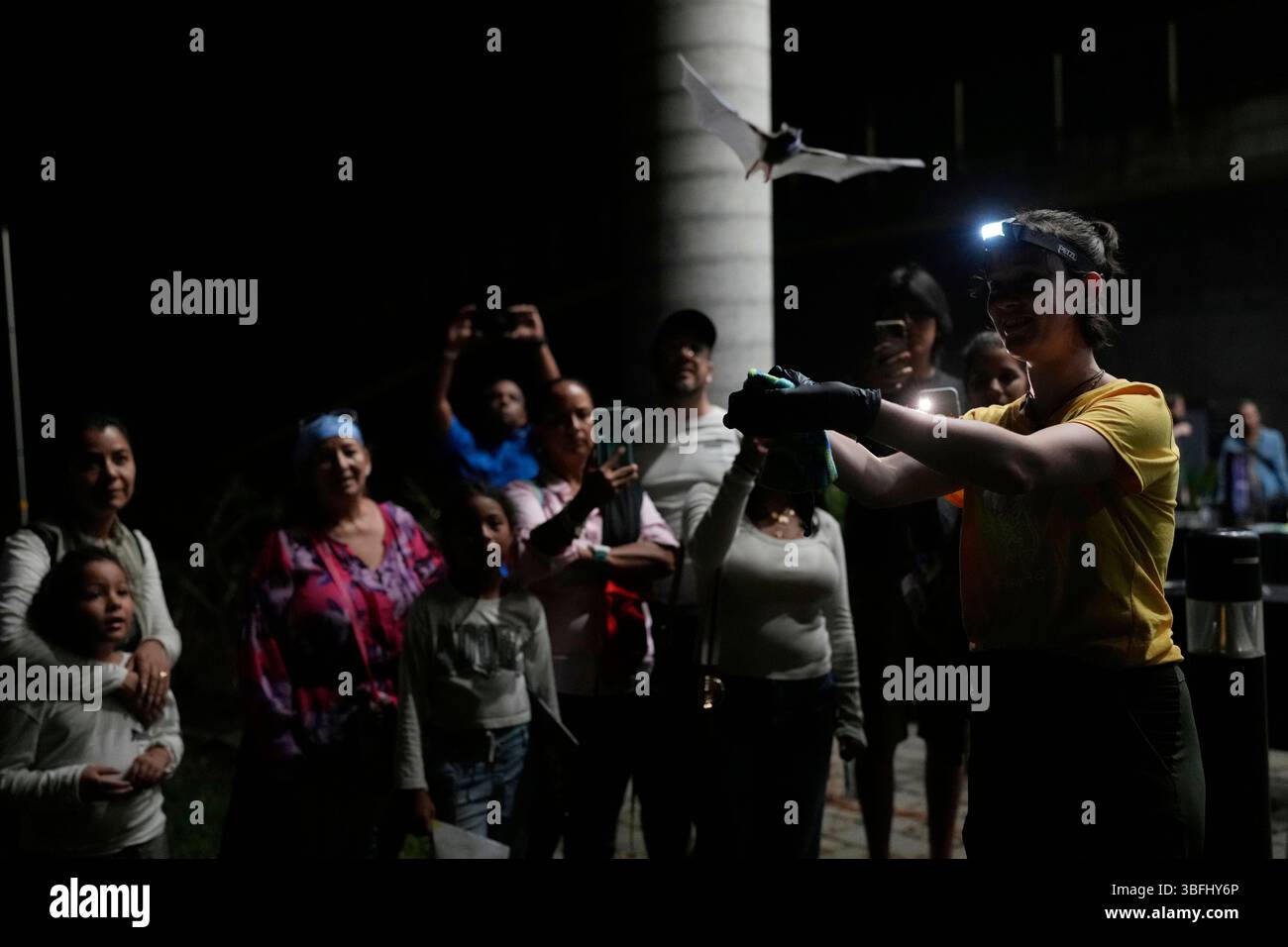 A scientist from the Smithsonian Tropical Research Institute releases a ...