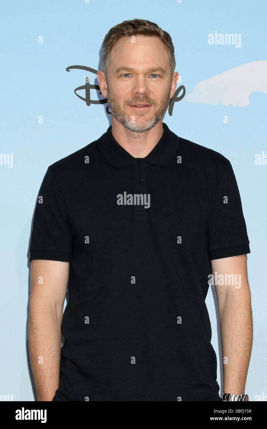 Ca. 31st May, 2025. Shawn Ashmore at arrivals for PHINEAS AND FERB ...