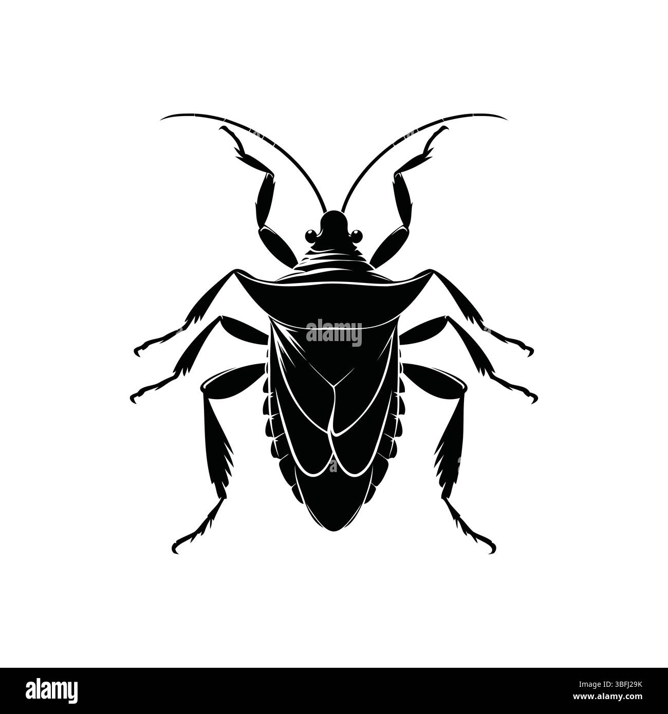 Most painful insect Stock Vector Images - Alamy