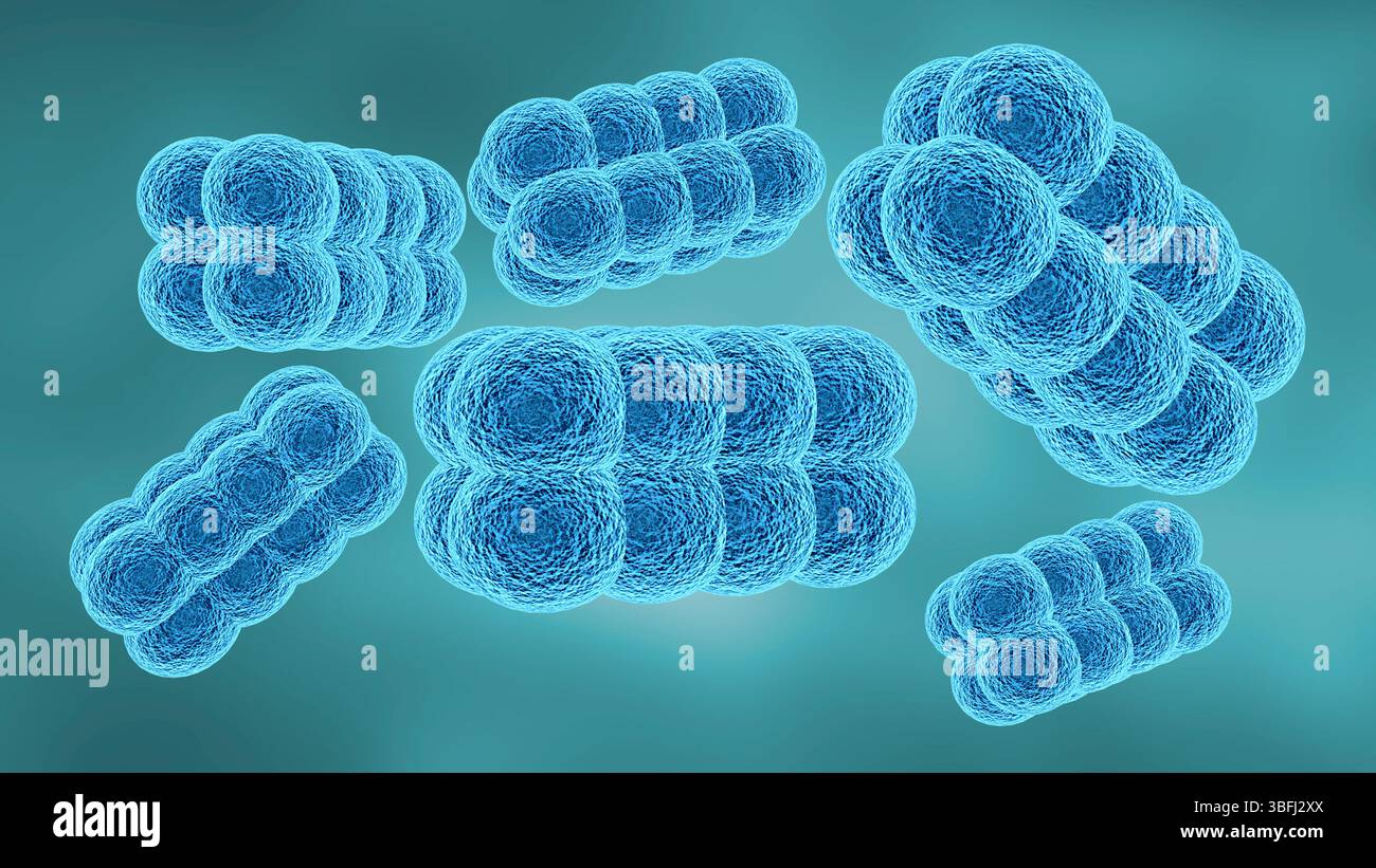 Kytococcus sedentarius hi-res stock photography and images - Alamy