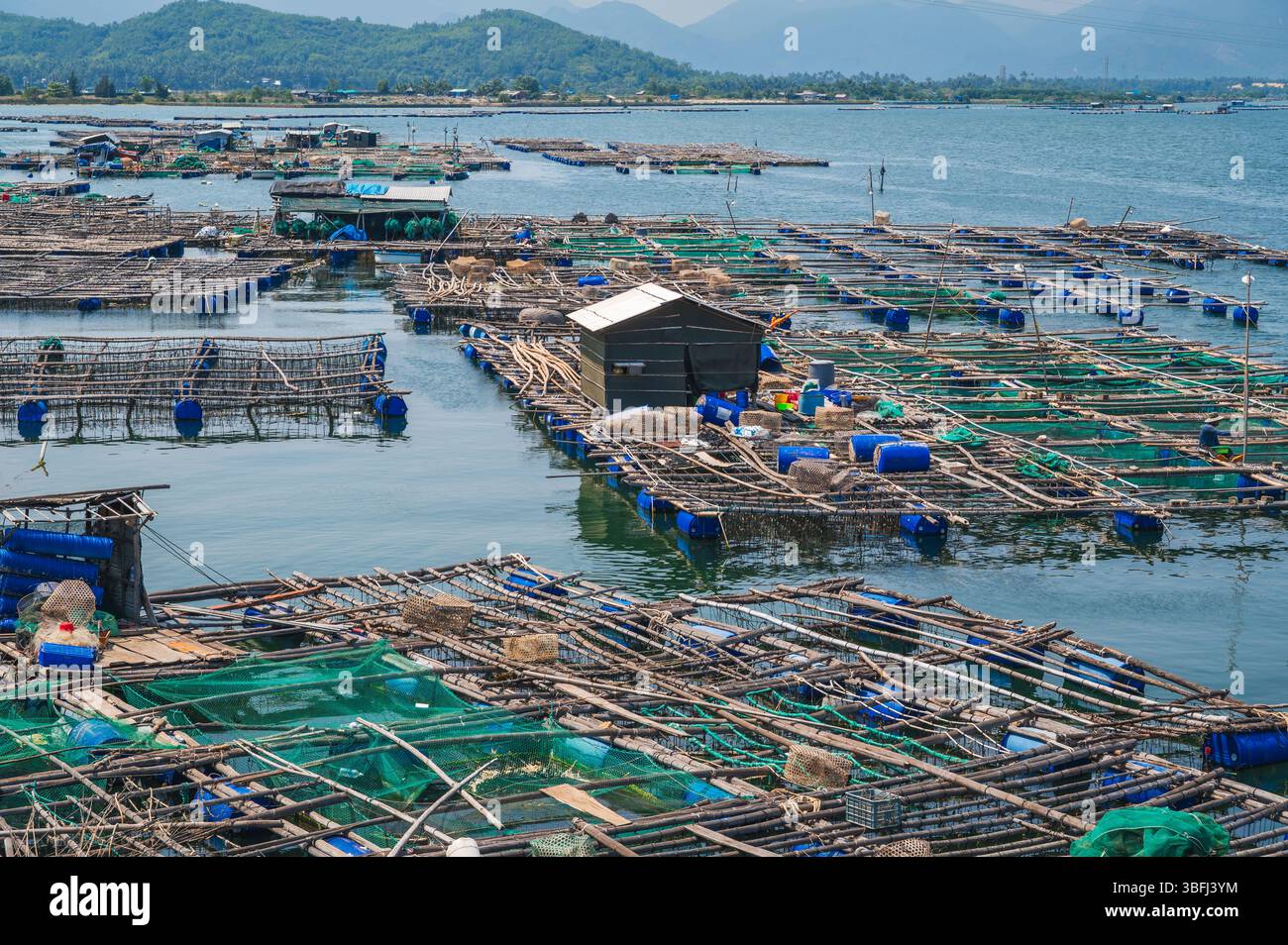fish farming farm with fishing cages and nets on water in the sea bay ...