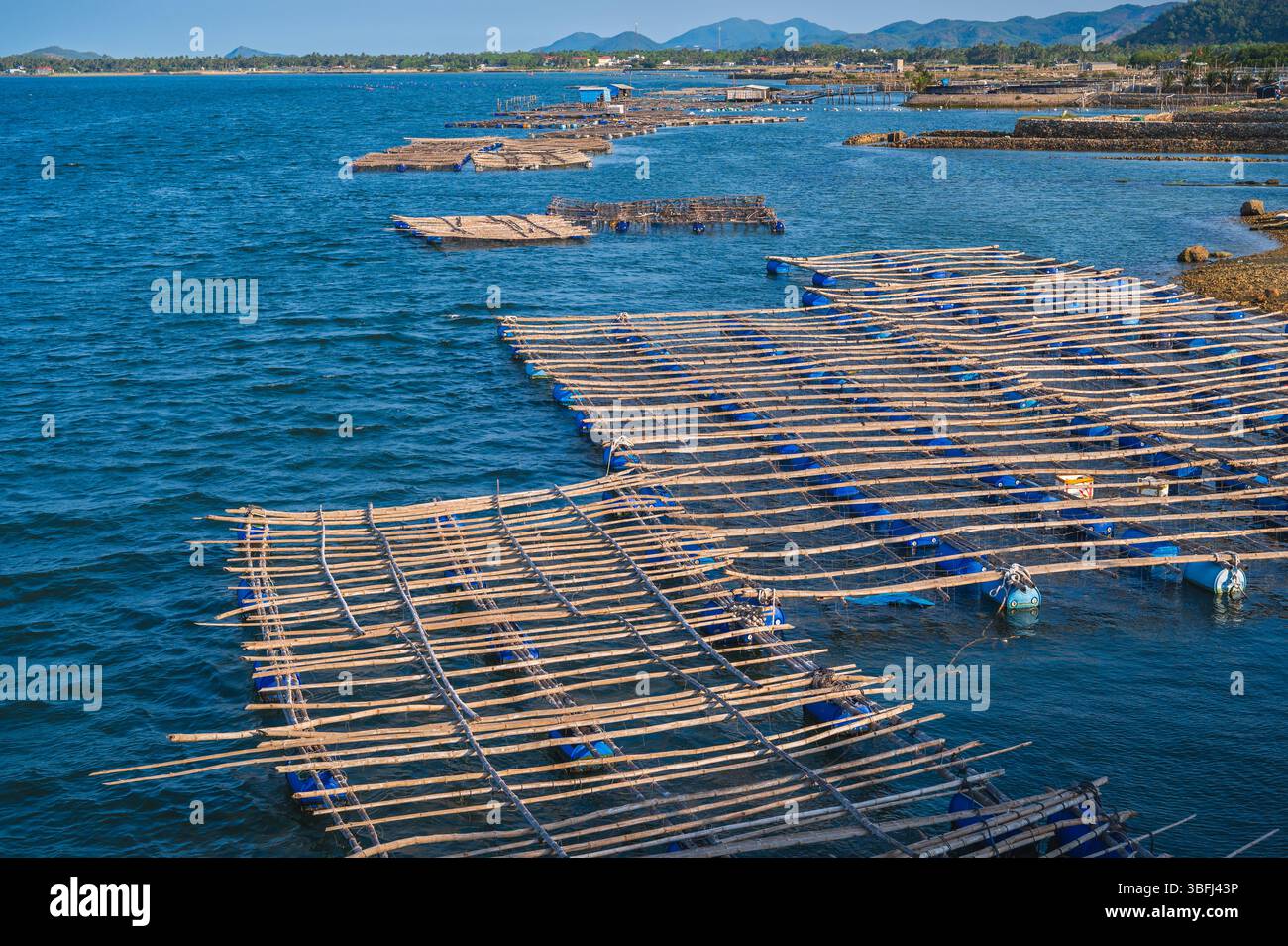 Shrimp and fish farming farm with fishing cages and nets on the water ...