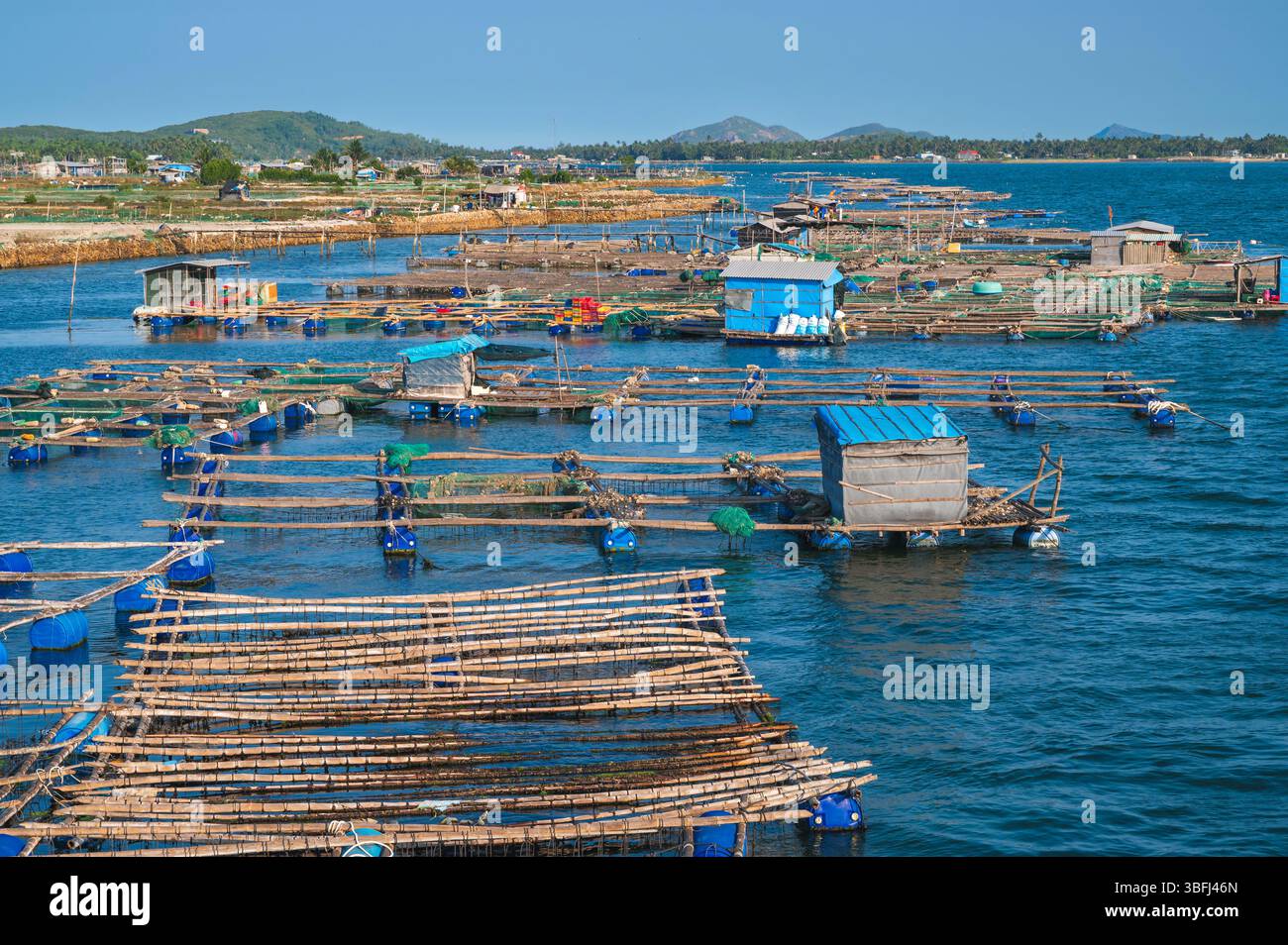 Shrimp and fish farming farm with fishing cages and nets on the water ...