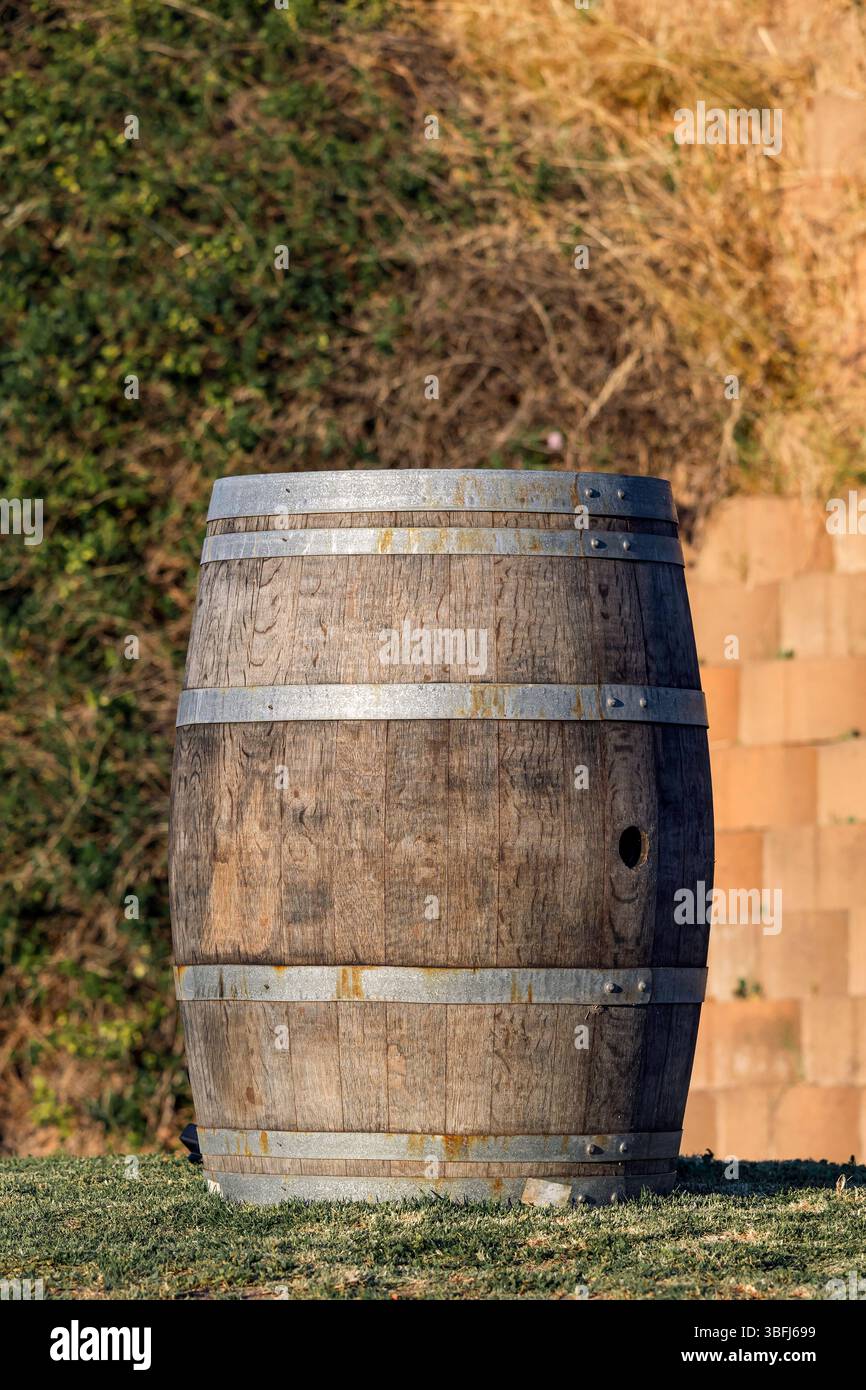 wooden barrel for aging alcoholic beverages Stock Photo - Alamy