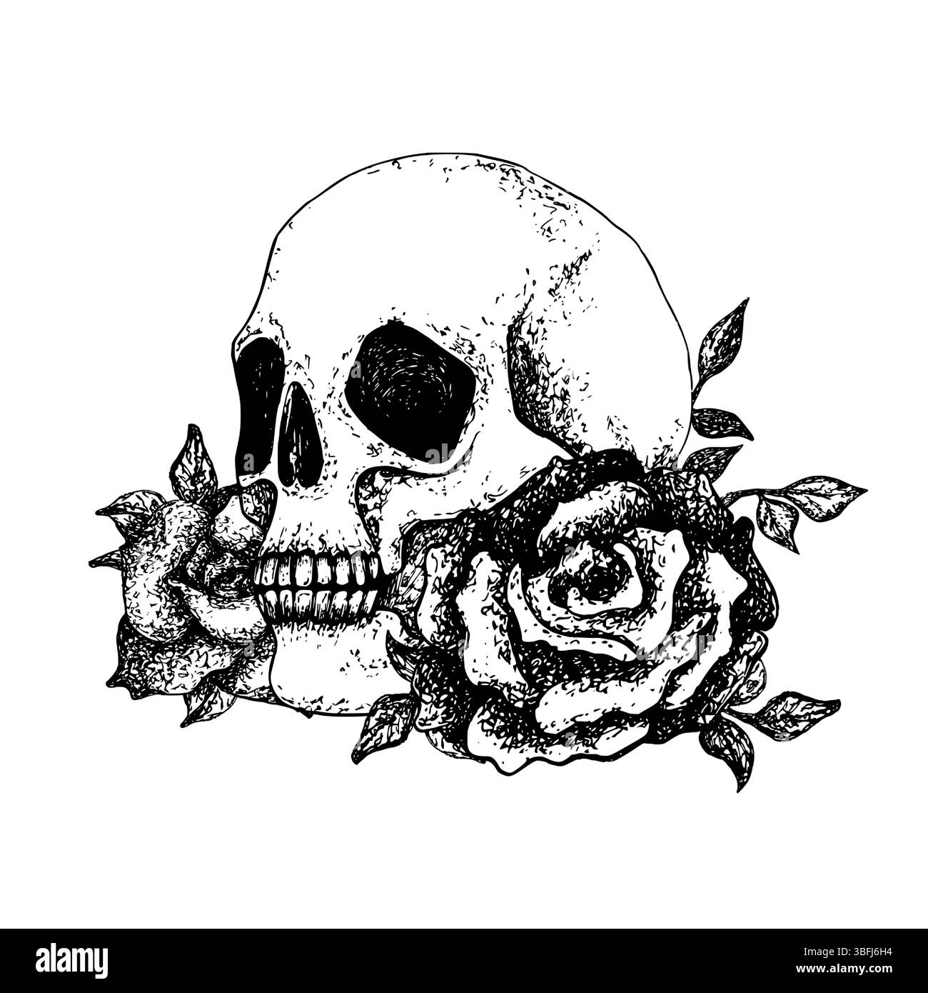 The evil dead poster Black and White Stock Photos & Images - Alamy