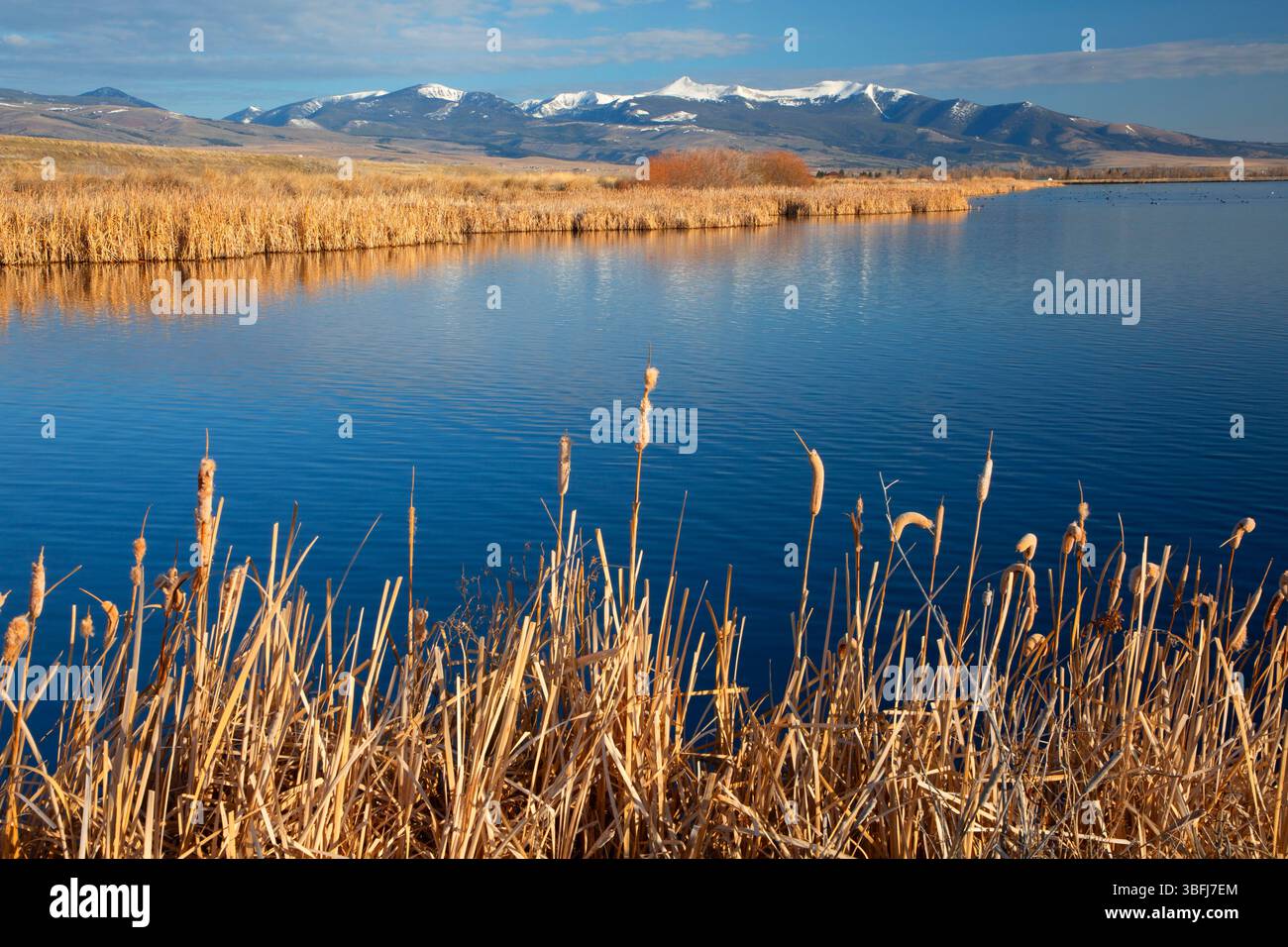 Pond 2 at Anaconda Settling Ponds, Warm Springs Ponds Wildlife ...