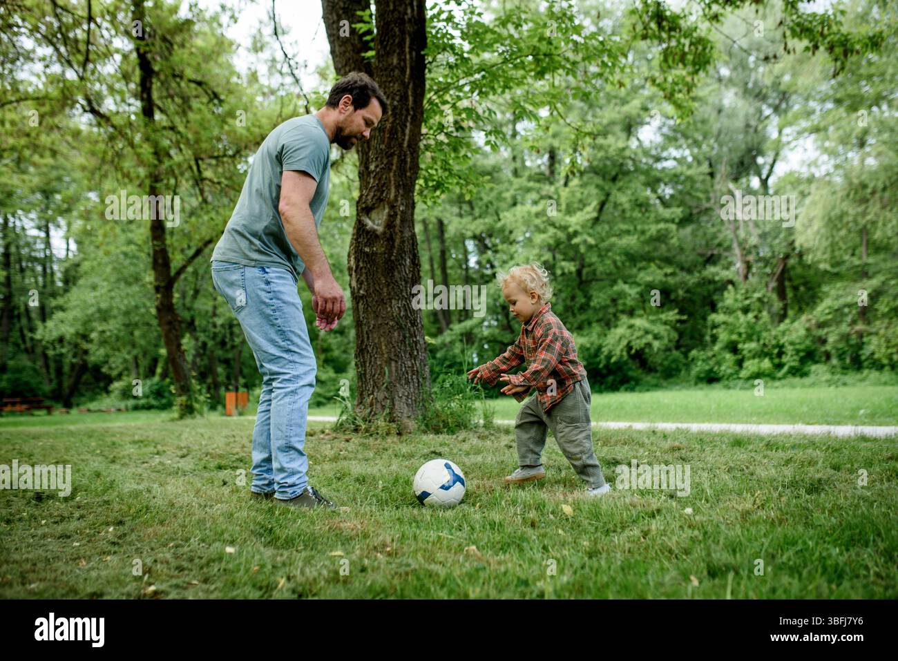 Father and son playing football together in park Stock Photo - Alamy