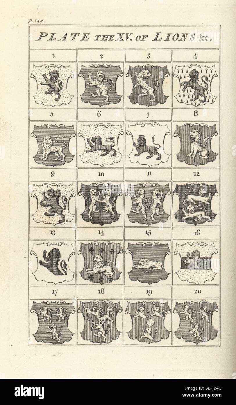 Mr t lion hi-res stock photography and images - Alamy