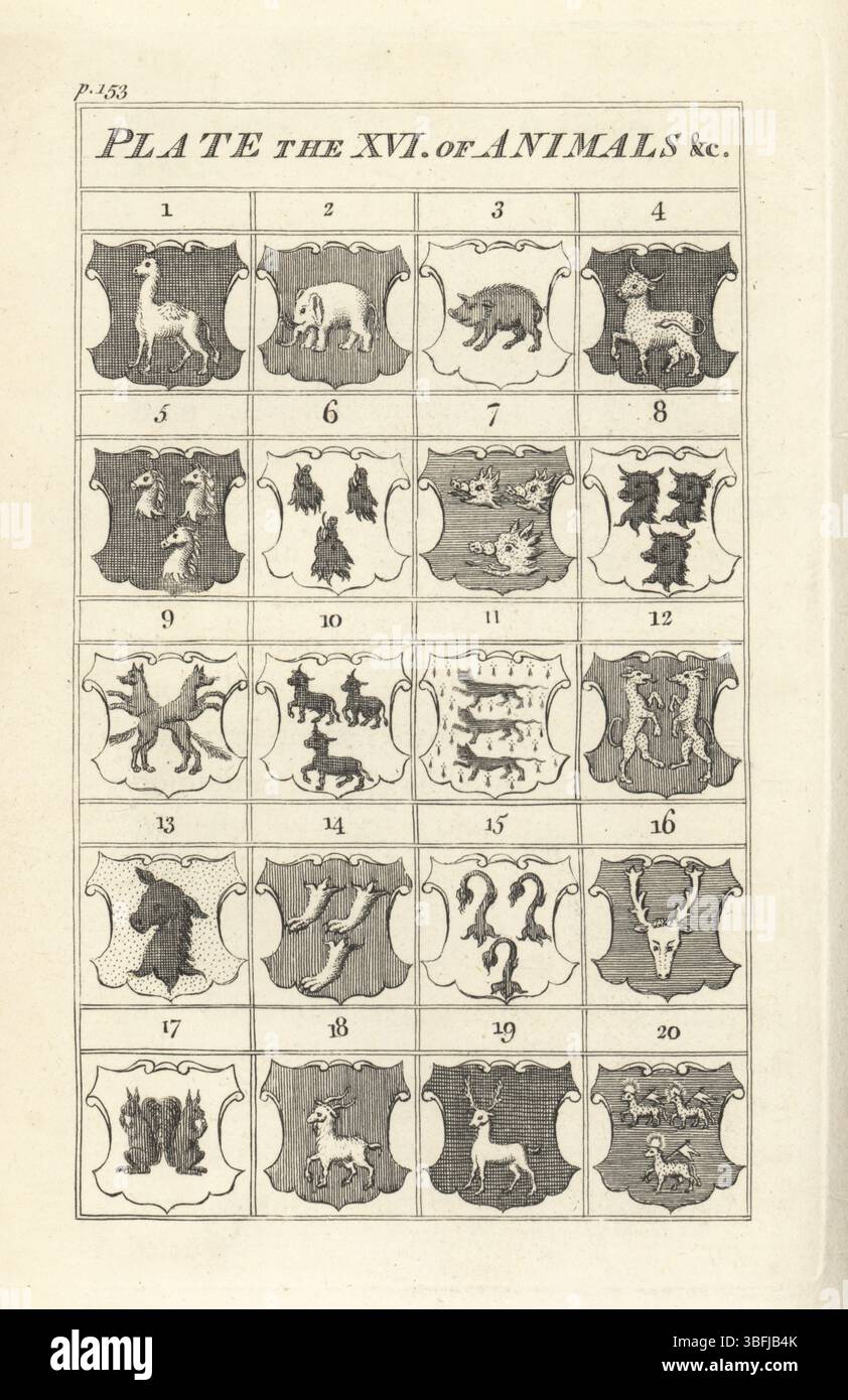 Different types of animals in heraldry. Camel, elephant, boar, bull ...