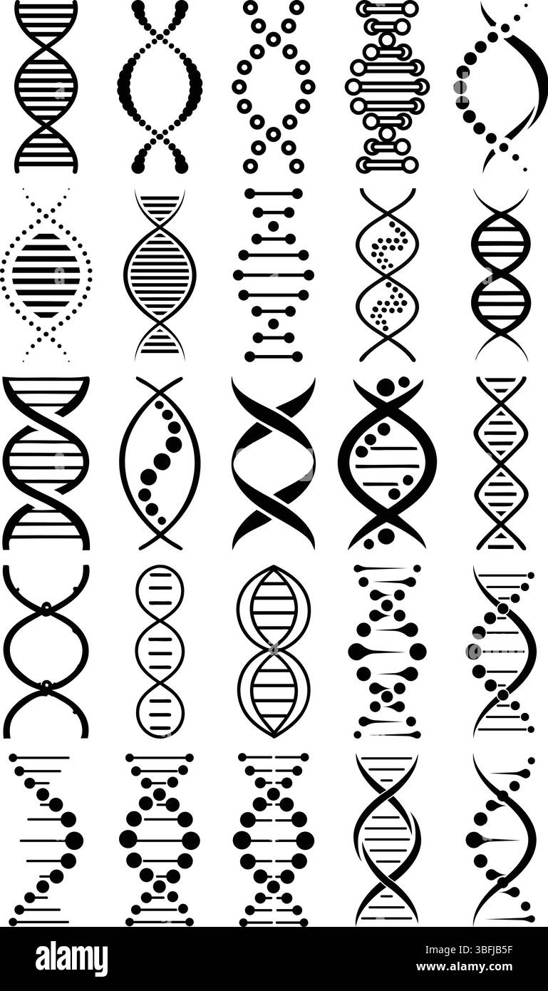 Cell chromosome structure infographic Cut Out Stock Images & Pictures ...