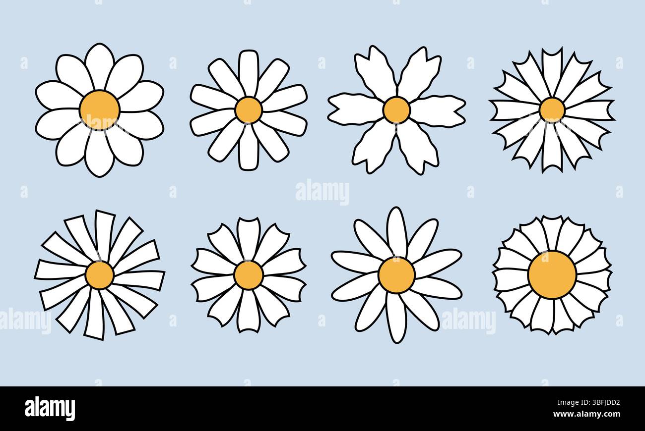 Daisy white flower bloom Stock Vector Images - Alamy