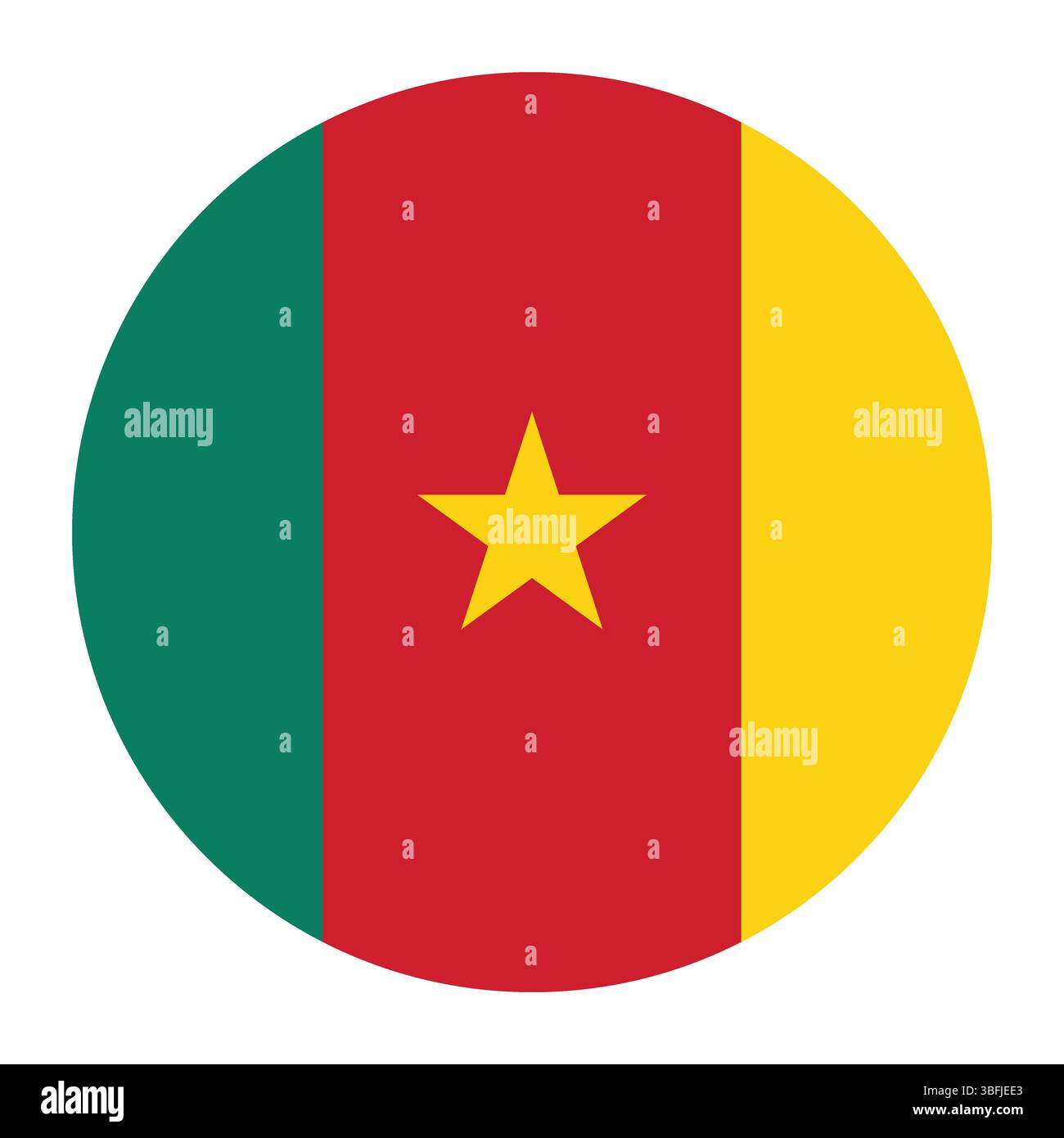 Flag of Cameroon. Cameroon flag icon. Standard color. Circle icon flag ...