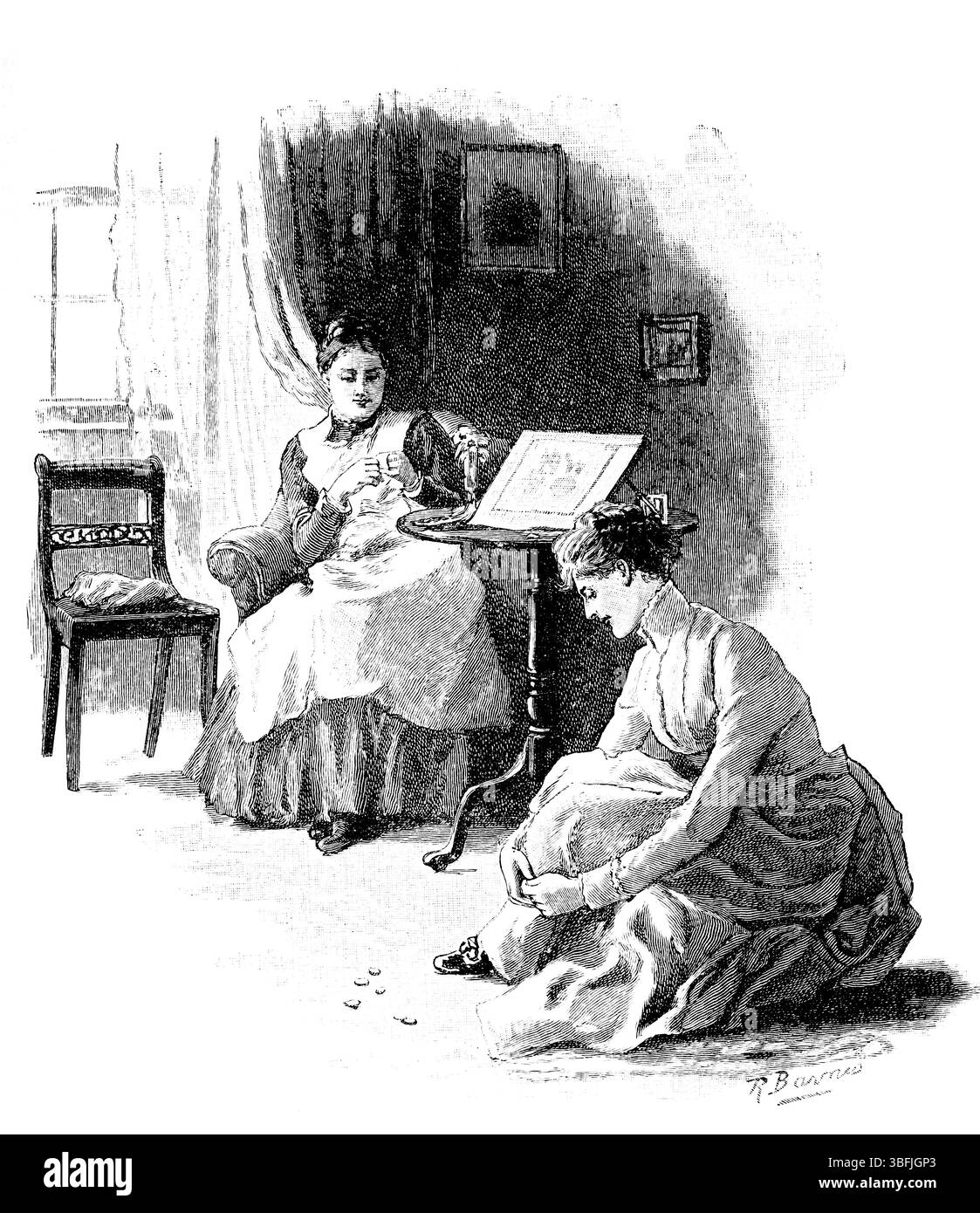 Domestic life history Cut Out Stock Images & Pictures - Alamy