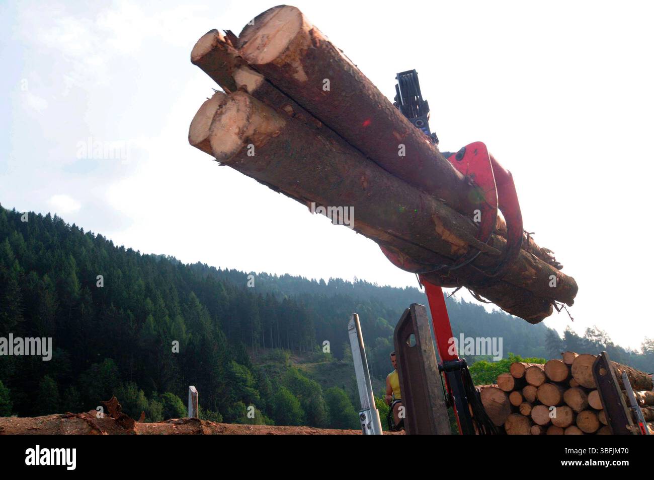 Loading of wood from the forest onto the rail for further transport ...