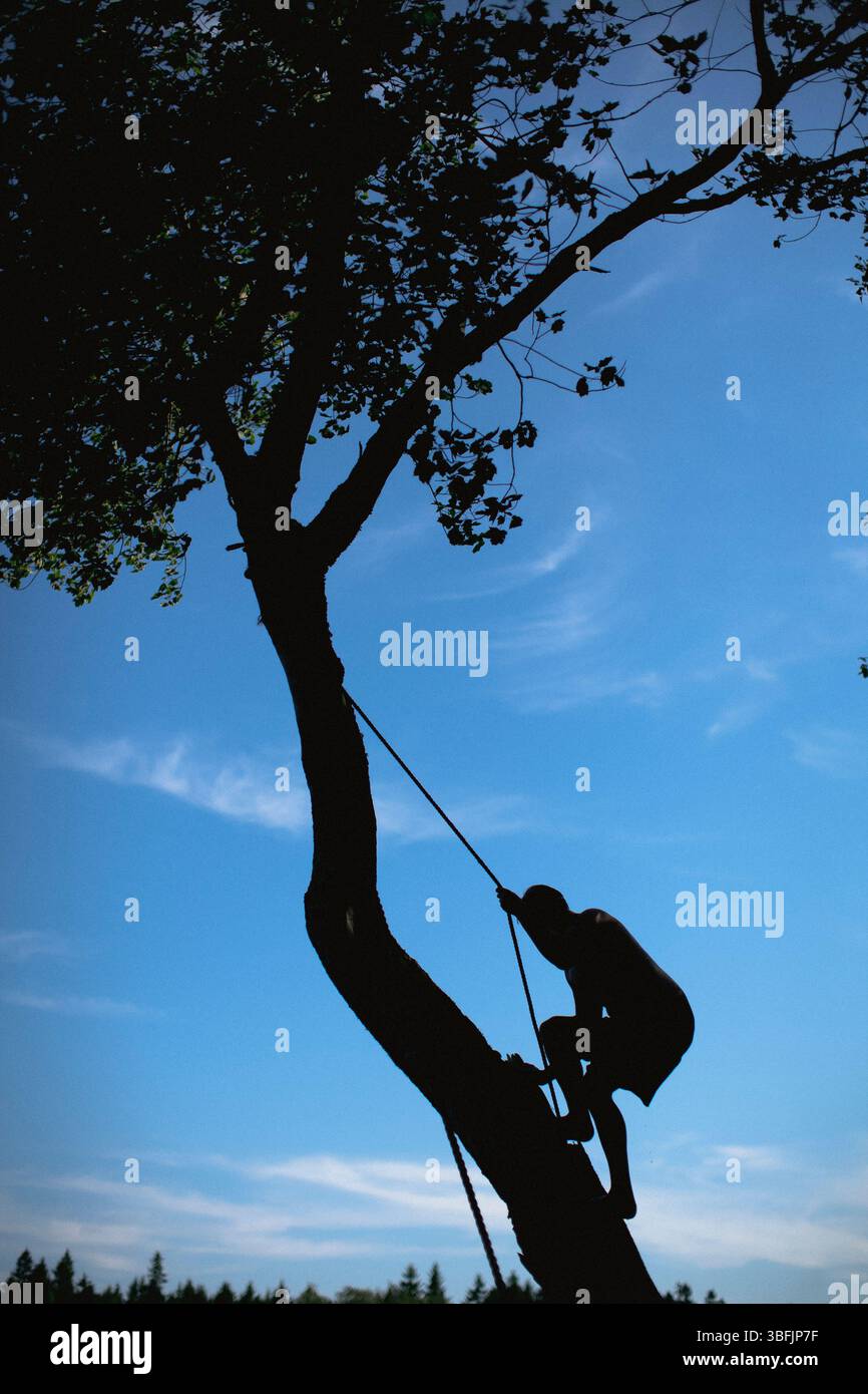 A silhouette of a man using a rope swing to climb a tree on an island ...