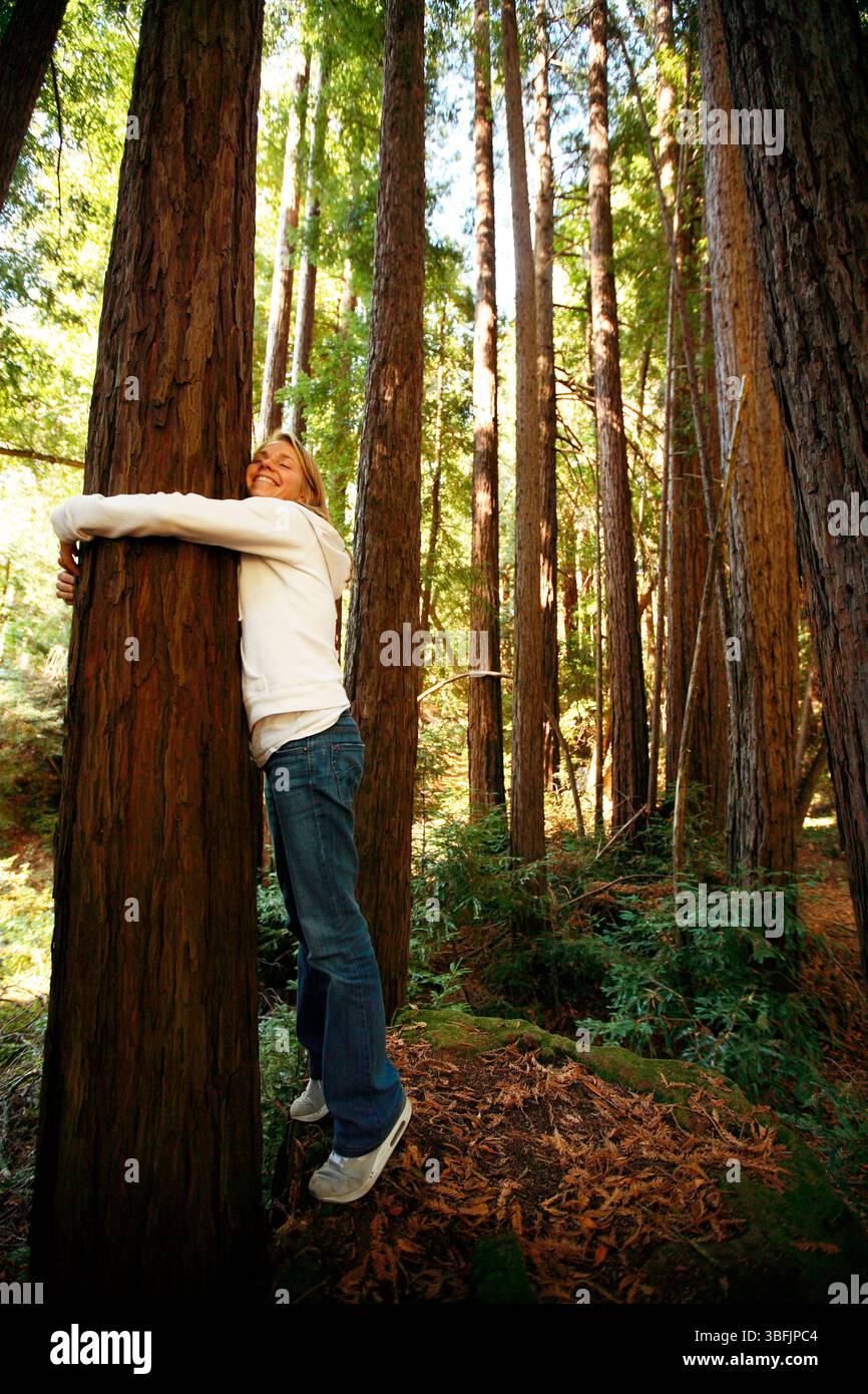 Woman hugging redwood tree hi-res stock photography and images - Alamy