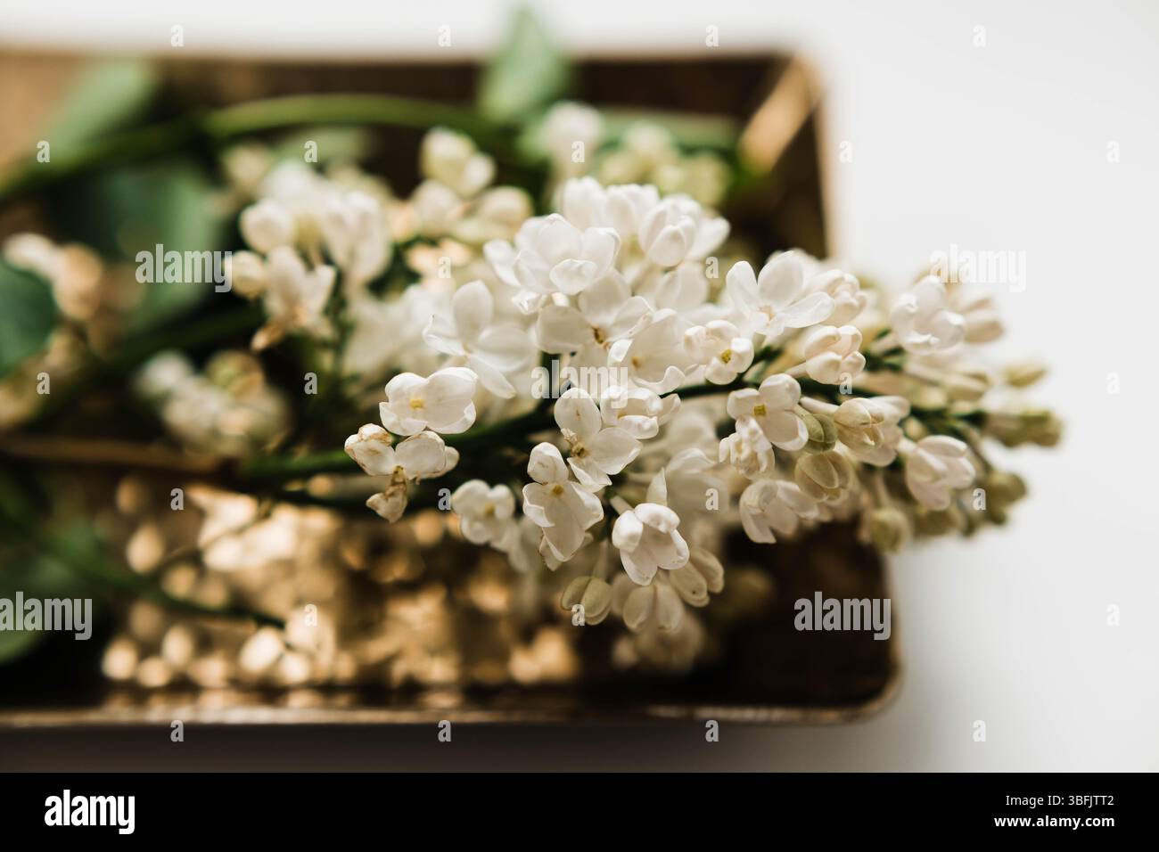 Warm sparkles hi-res stock photography and images - Alamy