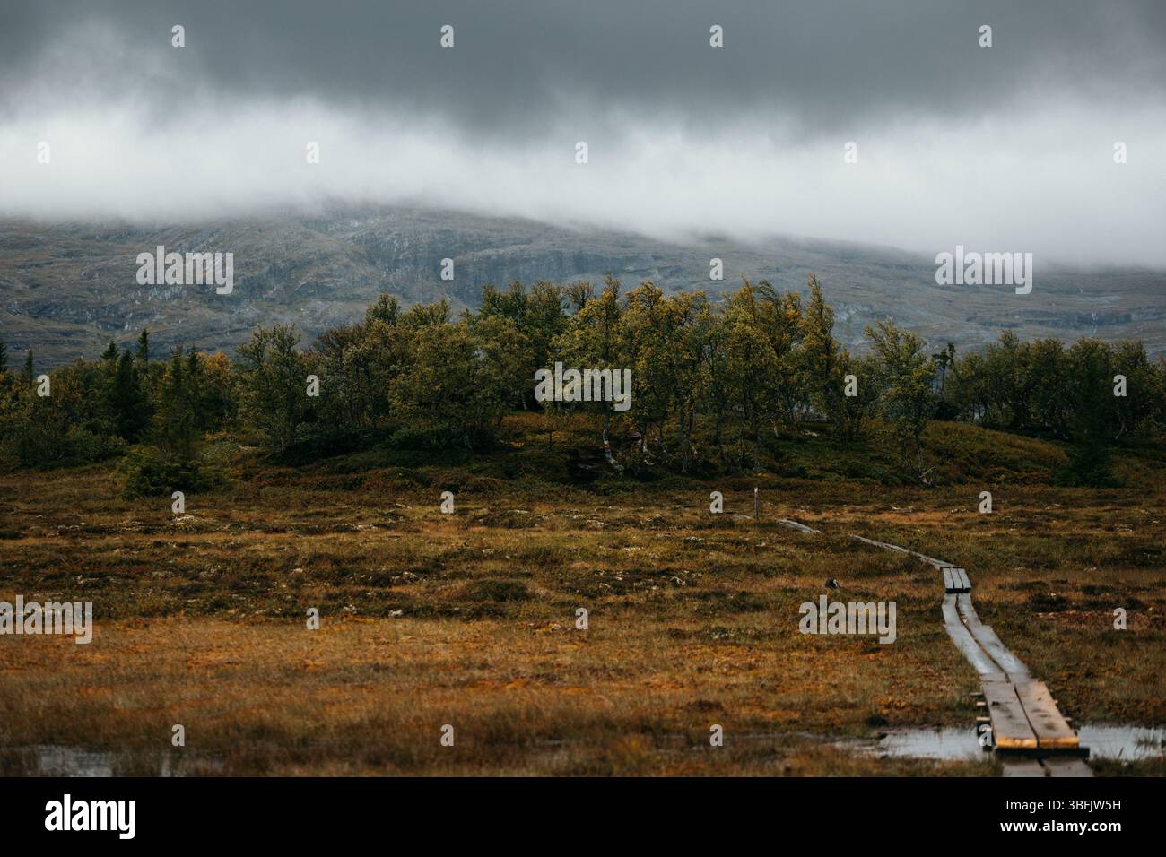 Slow quiet walk on empty hi-res stock photography and images - Alamy