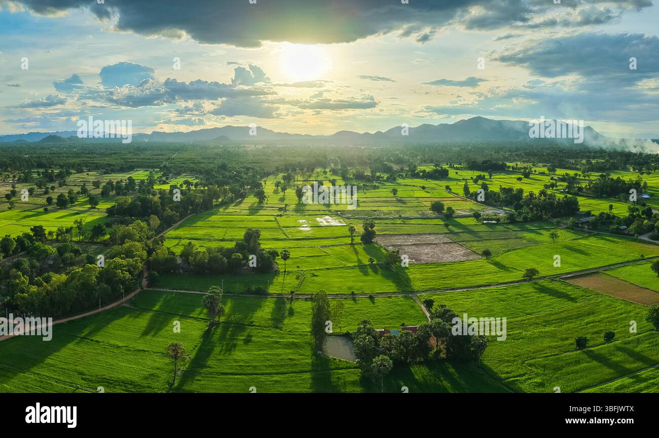 Green golden fields under hi-res stock photography and images - Alamy