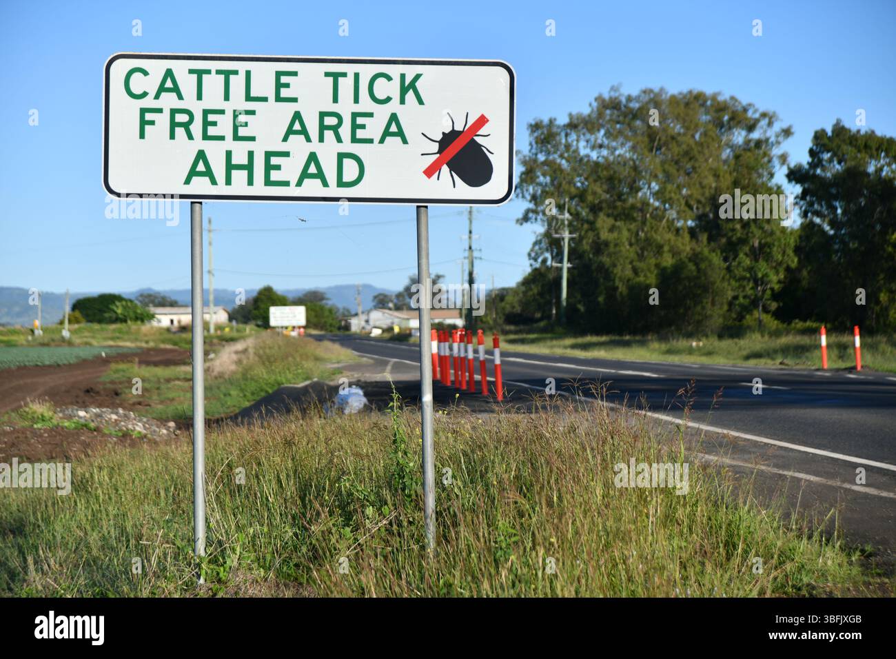 Ticks animal australia hi-res stock photography and images - Alamy