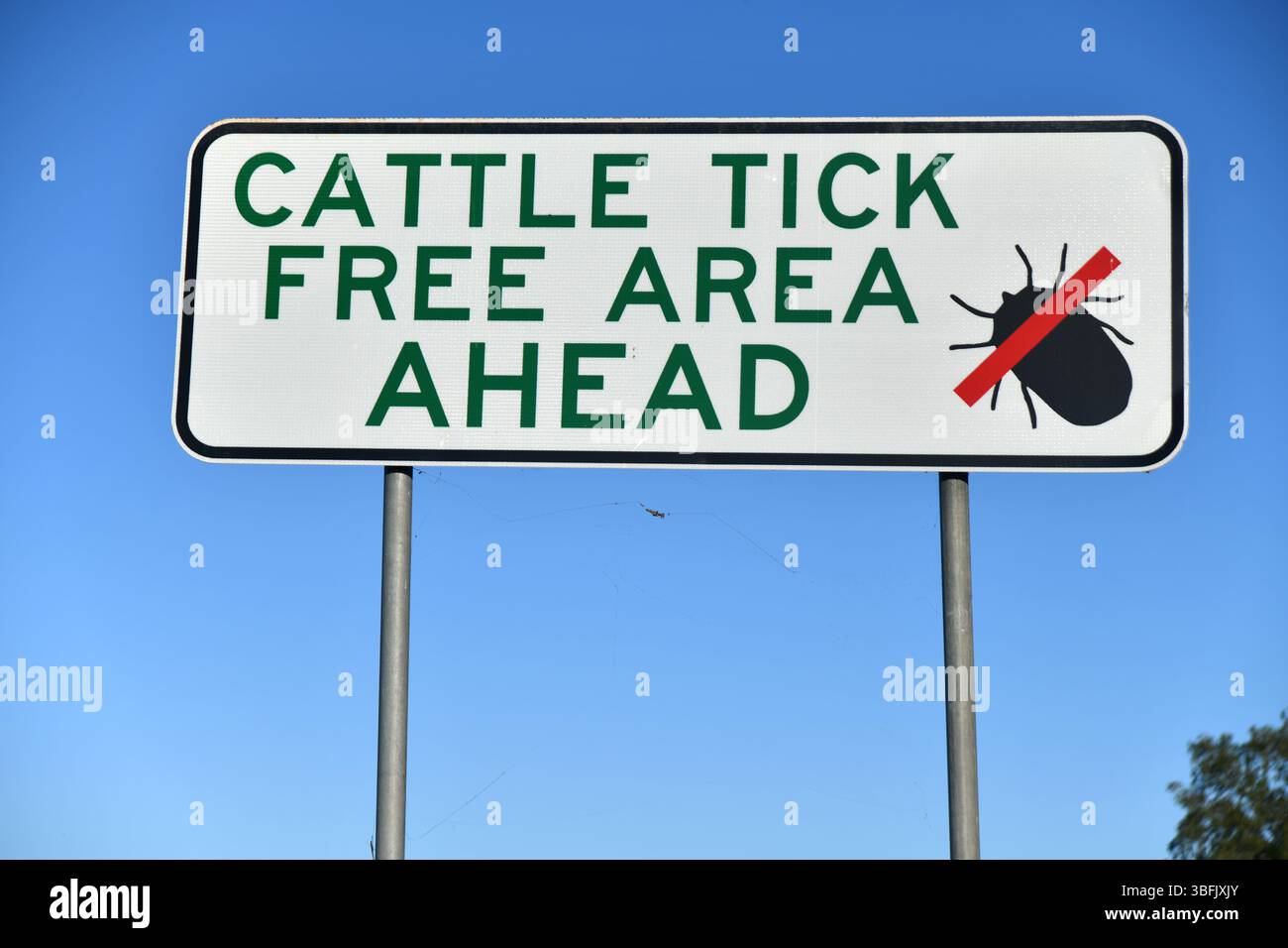 Signage for the Cattle Tick Free Area Ahead for the Lockyer Valley at ...