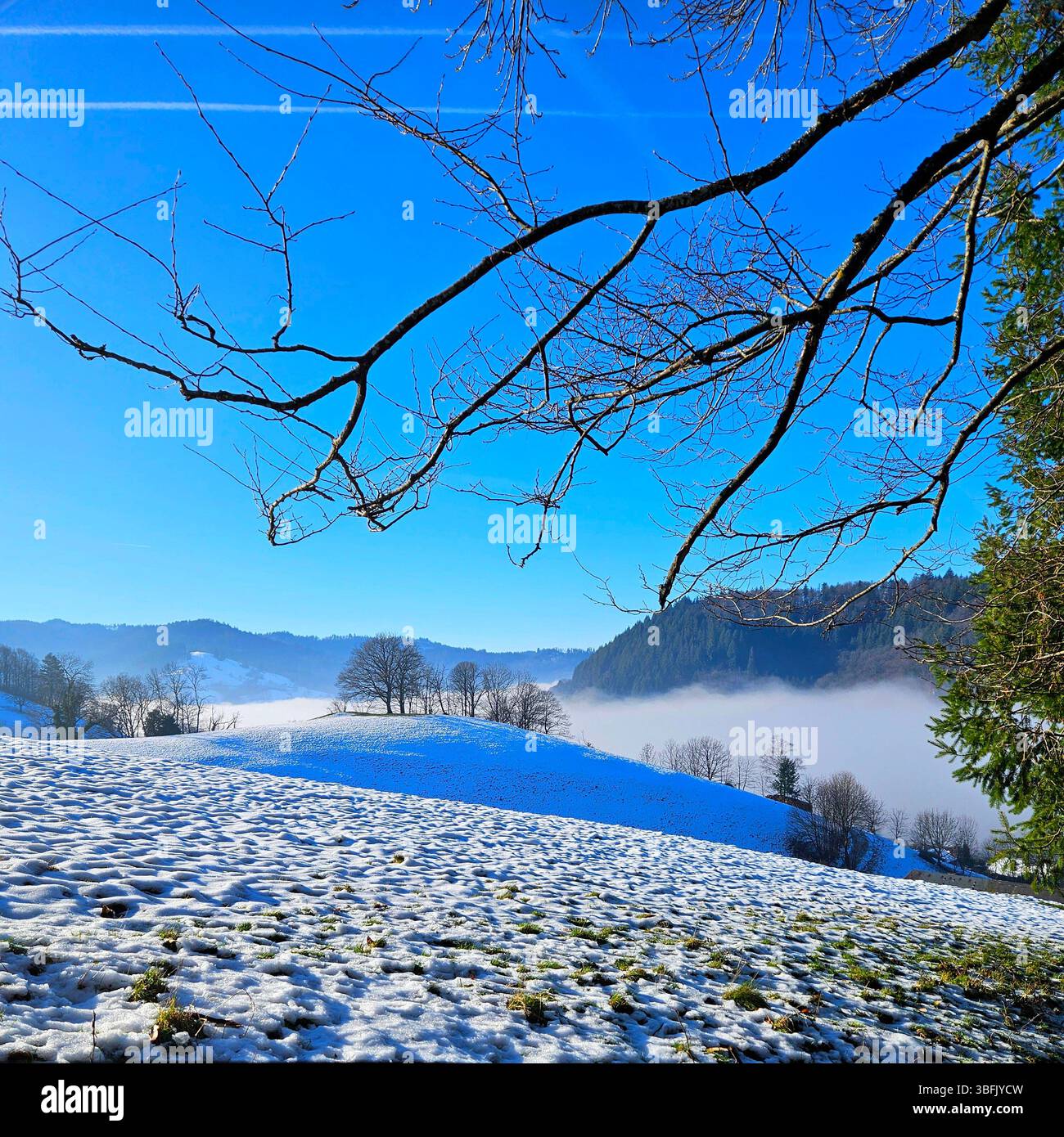 snowy winter landscape with morning mist in the valley Stock Photo - Alamy