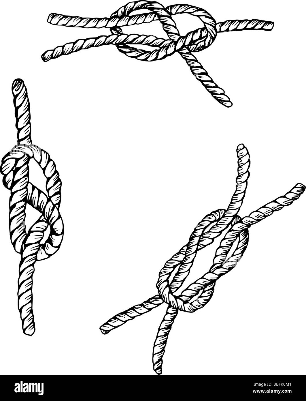 Three detailed illustrations of different rope knots, commonly used in ...