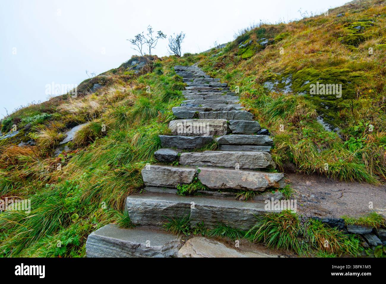 Sherpa Stairs for Reinebringen Hike in Lofoten - Norway Stock Photo - Alamy