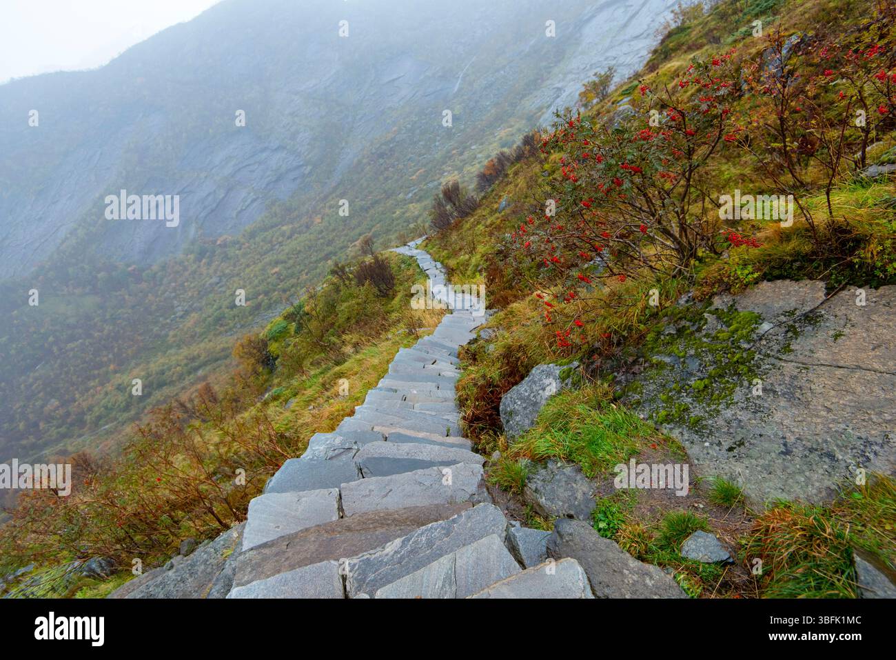 Sherpa Stairs for Reinebringen Hike in Lofoten - Norway Stock Photo - Alamy