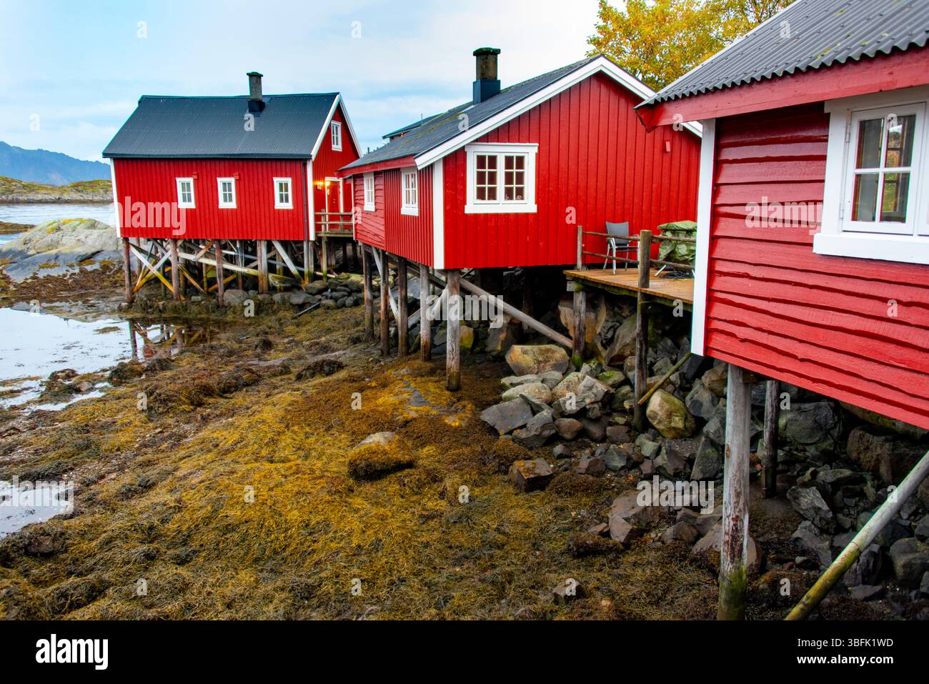 Rorbu Cabins in Svolvaer - Lofoten - Norway Stock Photo - Alamy