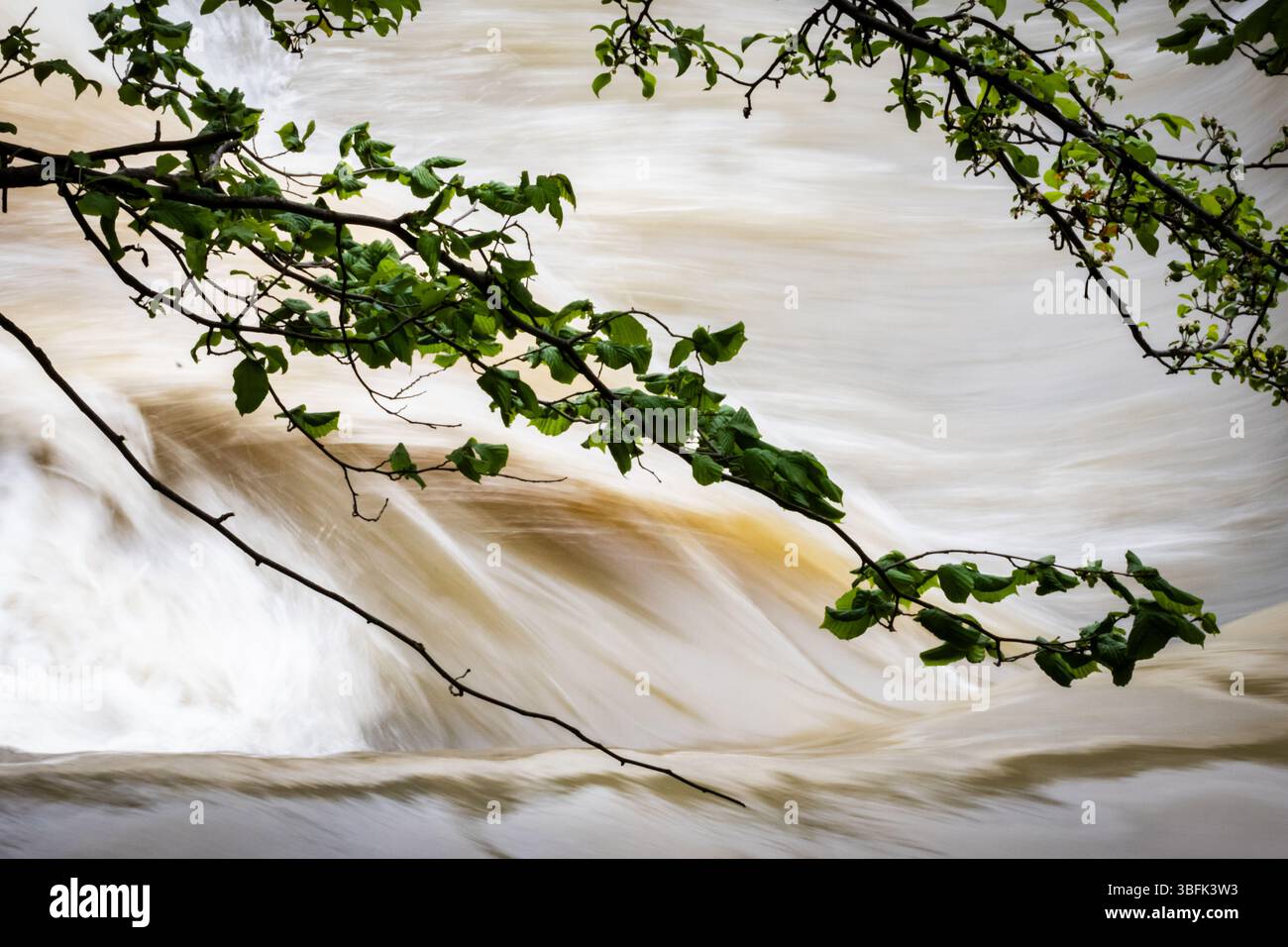 Slow shutter photo of a forest river weaving through spring greenery ...