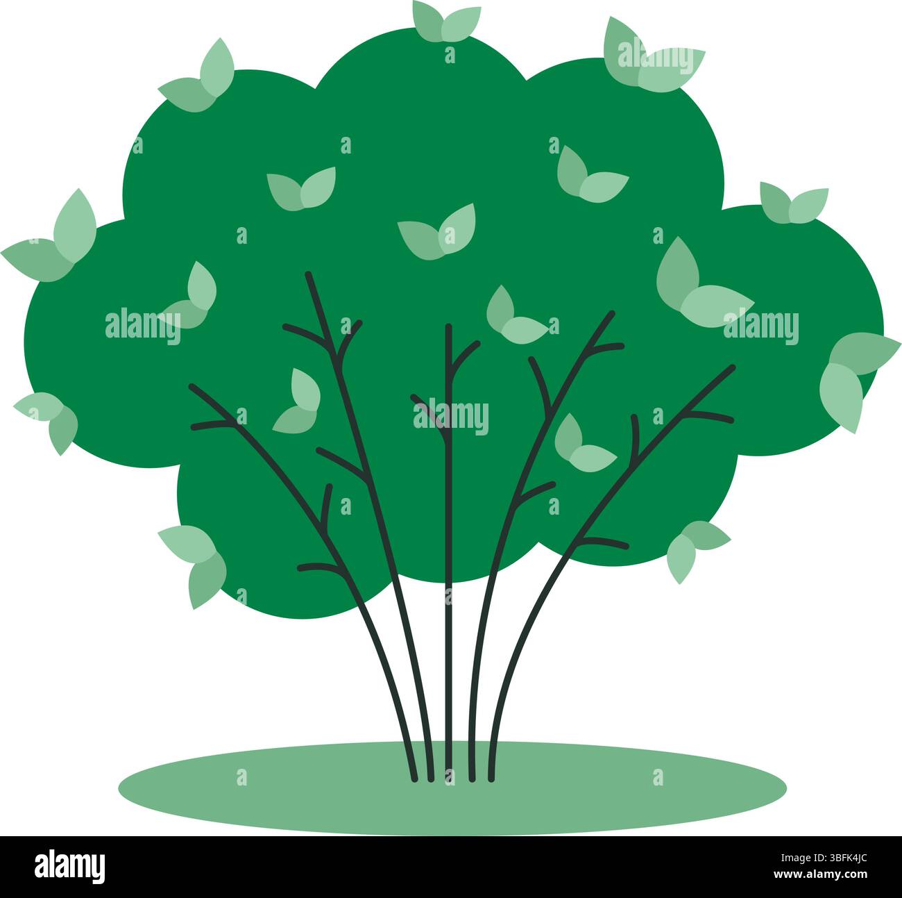 Green bush with furry crown and leaves clip art illustration. Colored ...