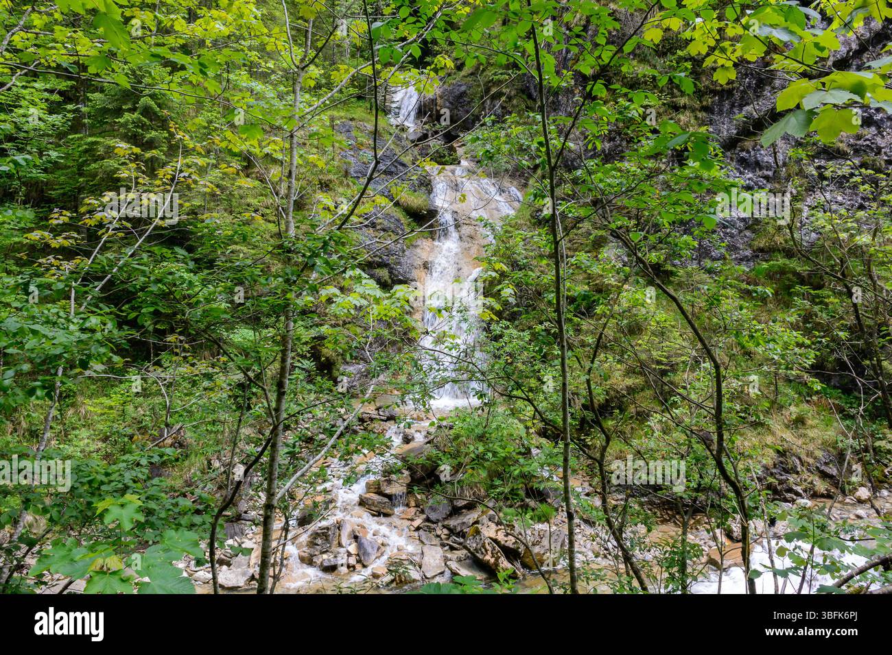 waterfall in the forest reichraminger hintergebirge in the upper ...